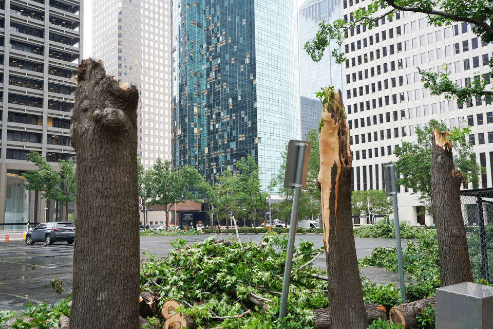 Texans say CenterPoint neglected trees that caused outages