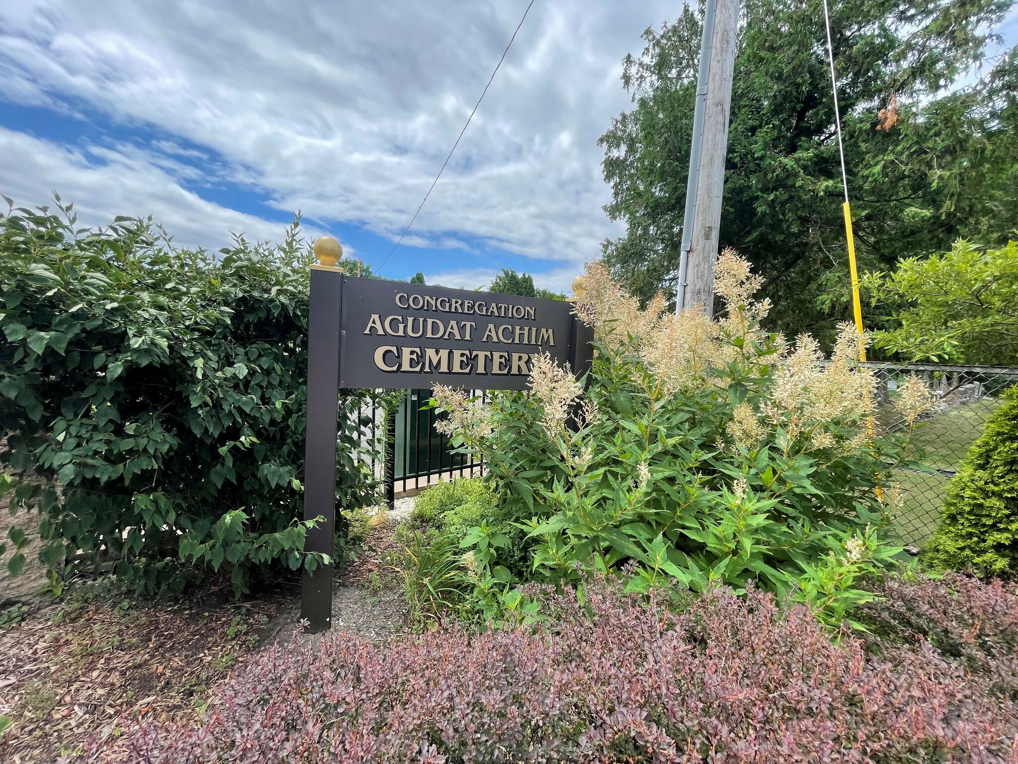 Police probe vandalism at Jewish cemetery as synagogues raise repair