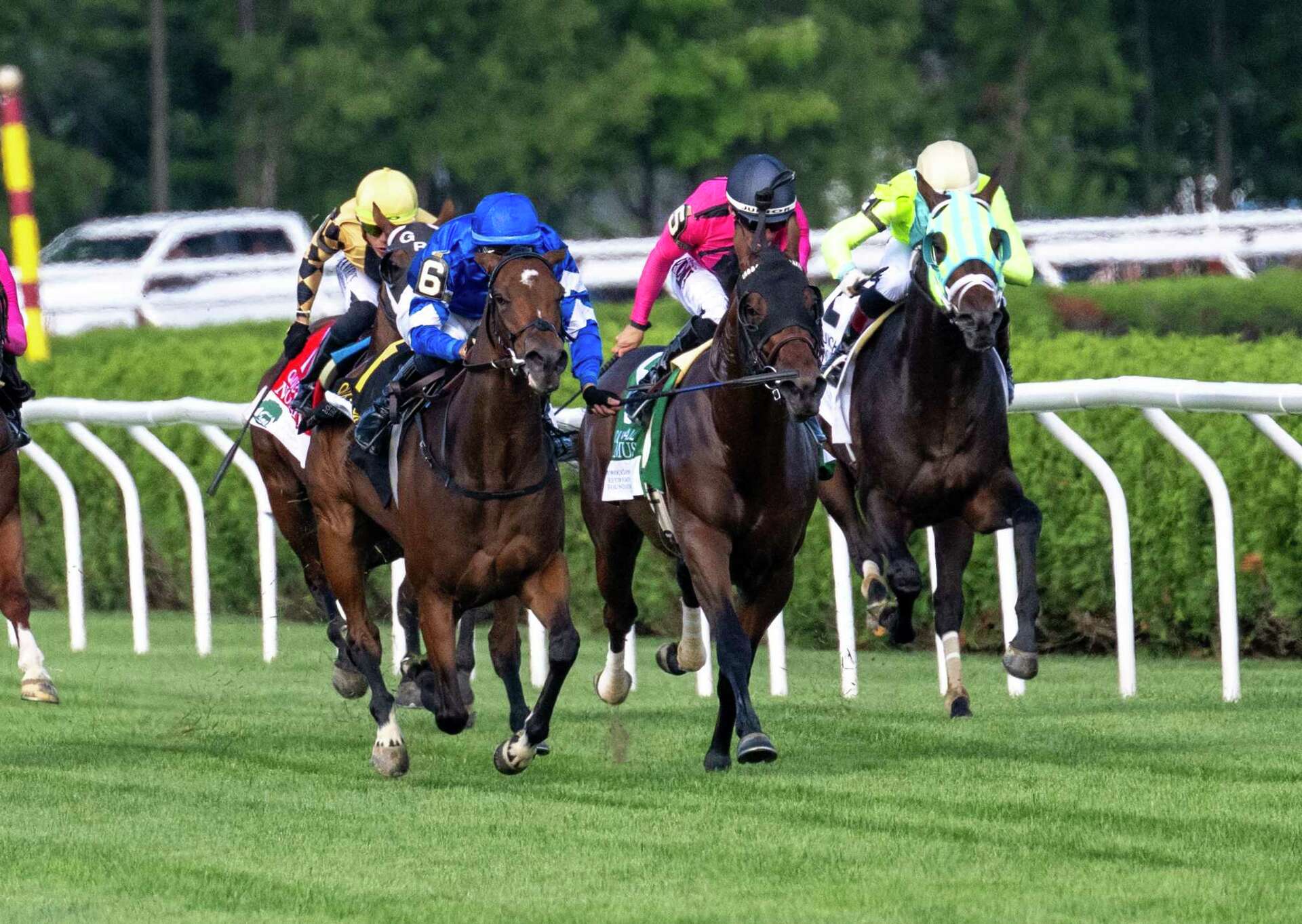 Star of Mystery shines bright in the Quick Call Stakes