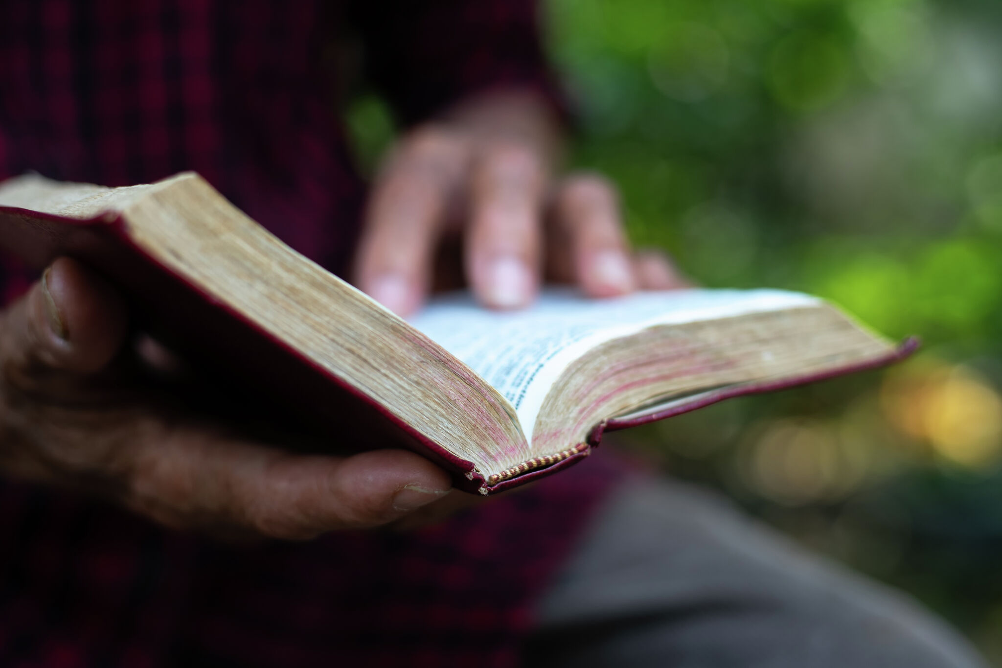 Take time to rejoice for the small, mediocre things in life