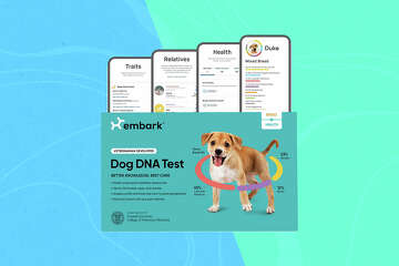 Embark's dog breed and health kit is just $127 during Prime Day
