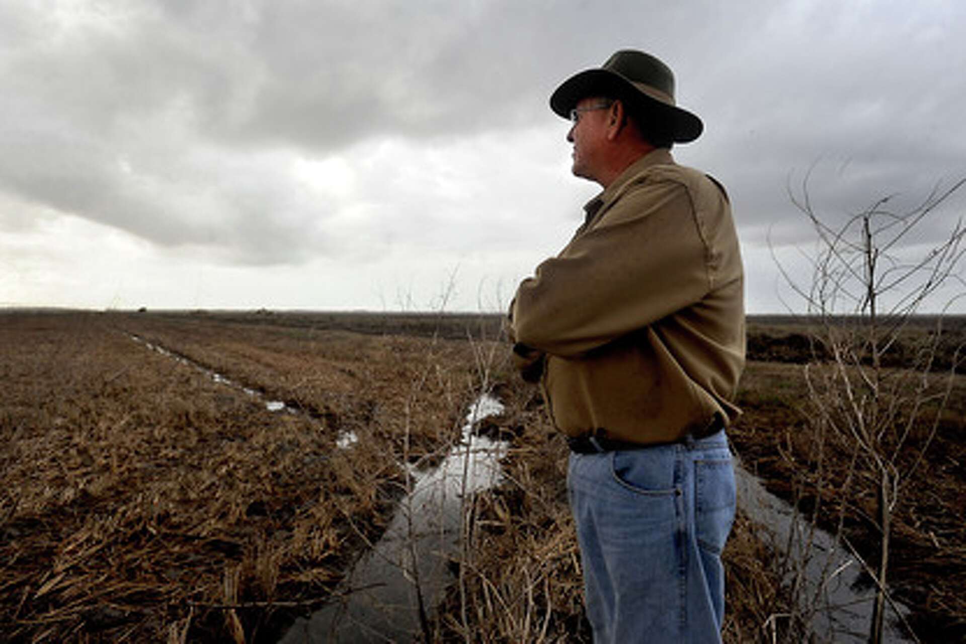 Local rice growers wait for fields to freshen up after Ike's saltwater ...