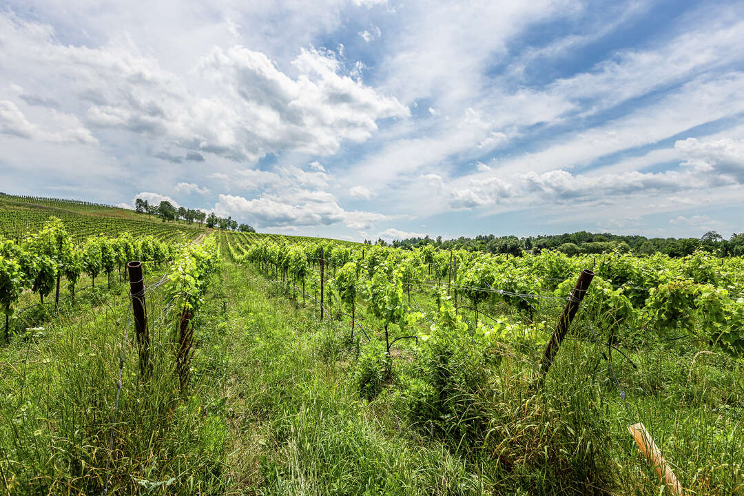 Klocke Estate brandy distillery opens in upstate New York