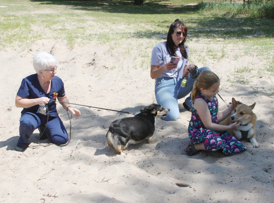 Manistee dog park receives upgrades