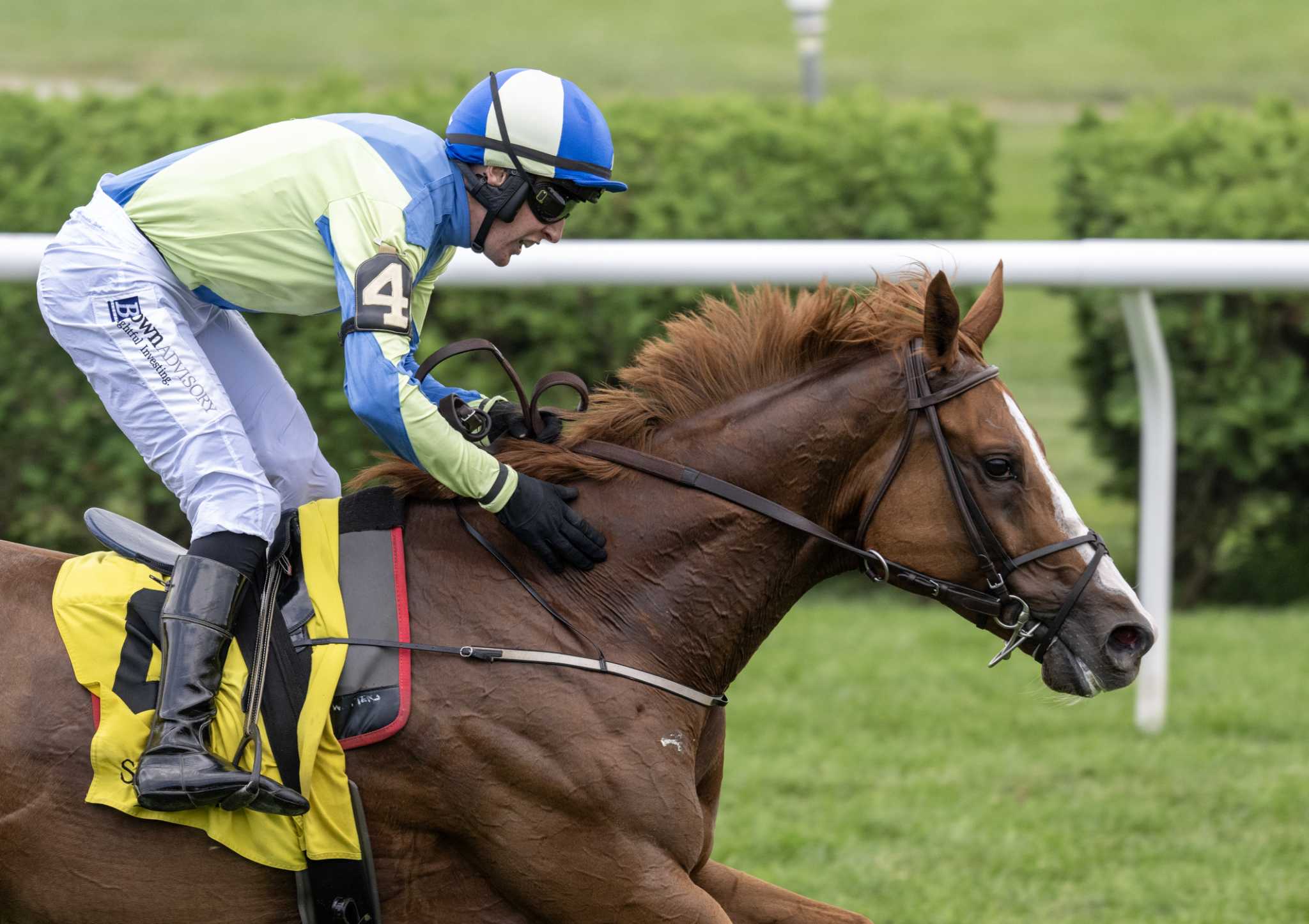 Ziggle Pops wins at Saratoga in his second try stateside