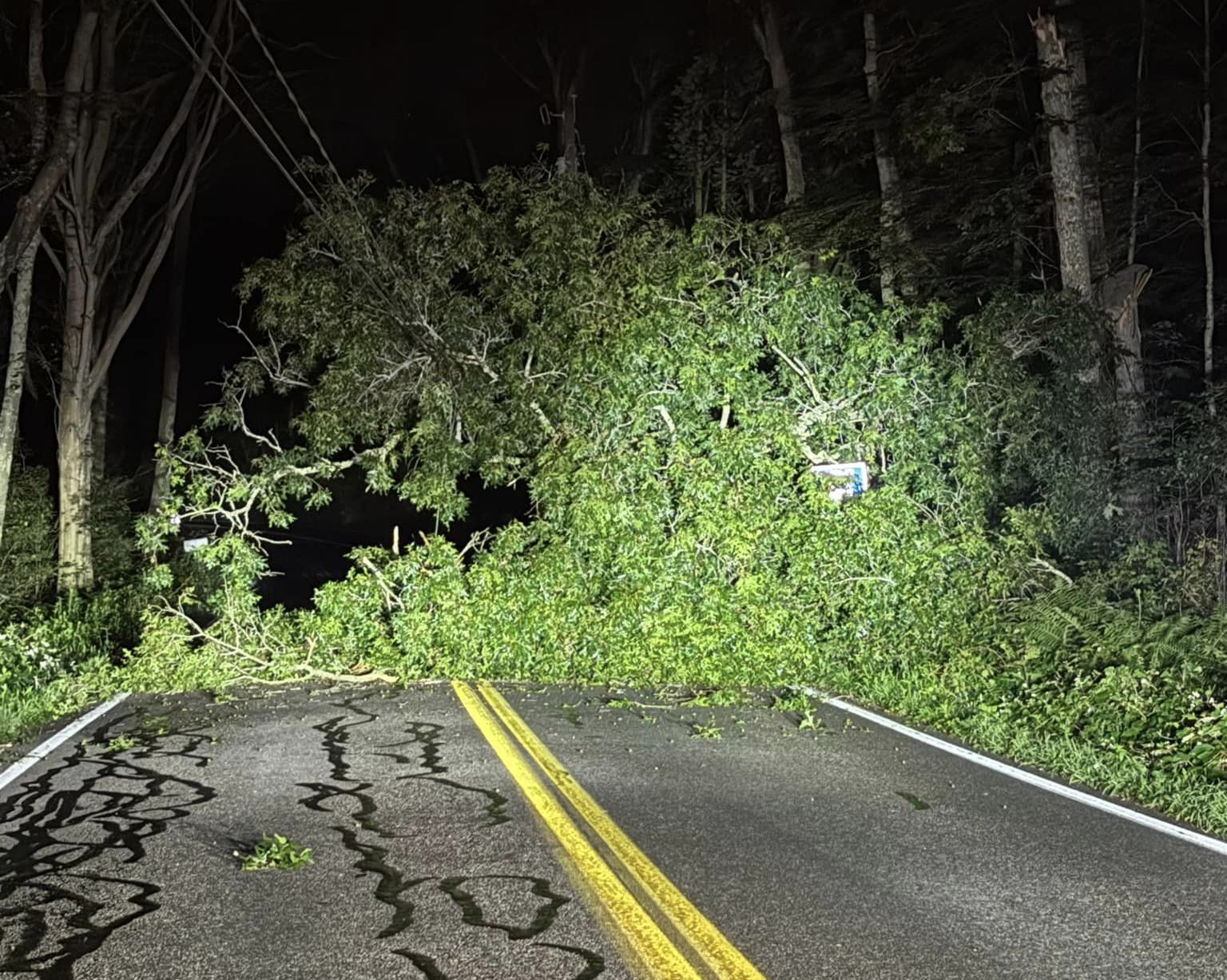 CT weather conditions unsettled with showers, storms expected: NWS