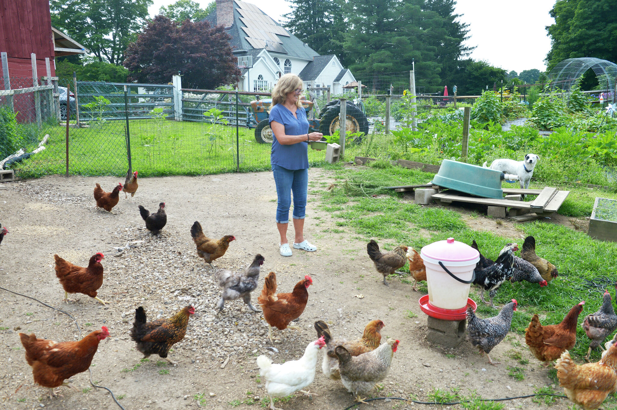 CT farms rebound from tough 2023 season with early crops, new ventures