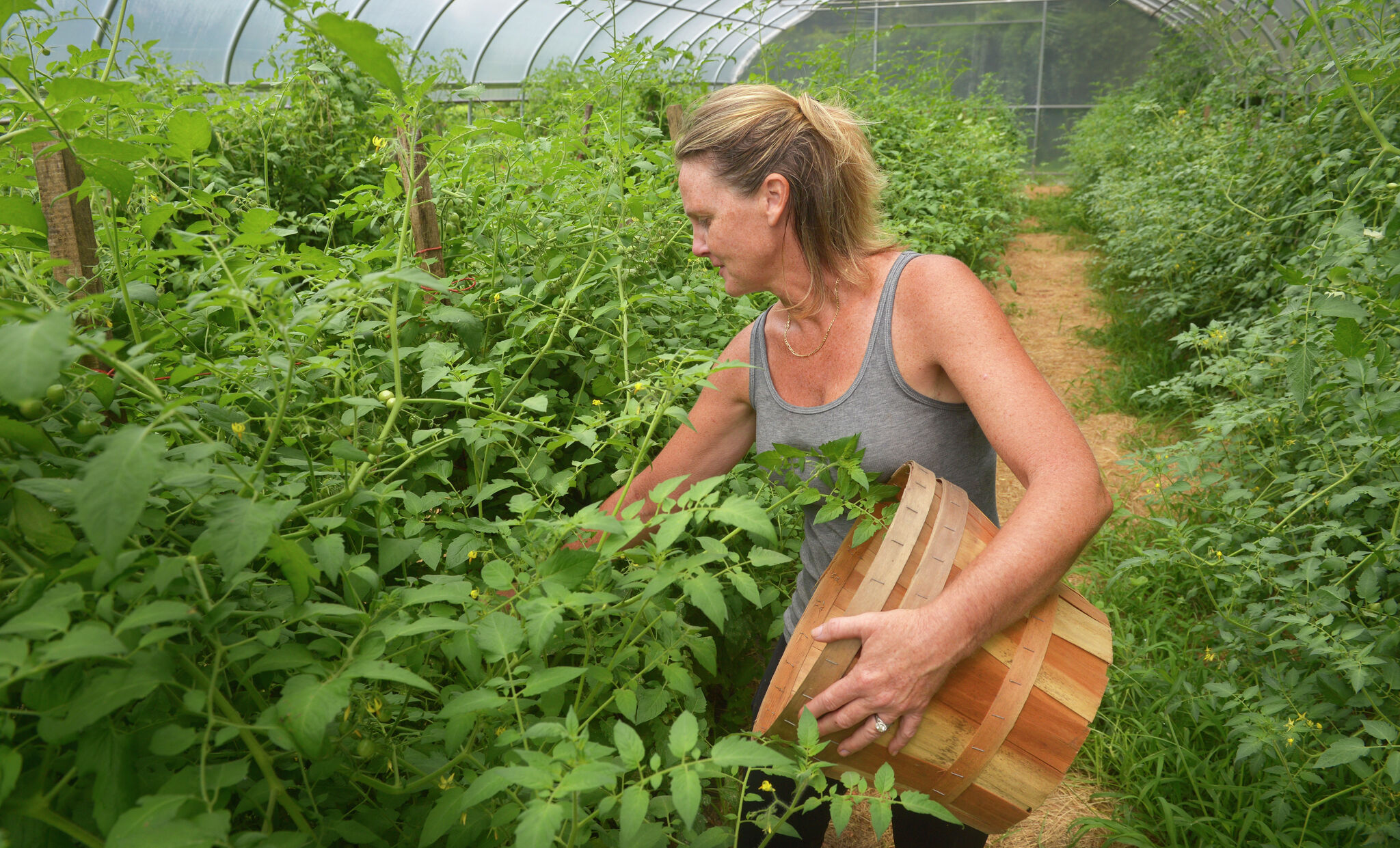 Shortt's Farm in Sandy Hook opens ice cream shop: 'Huge draw'
