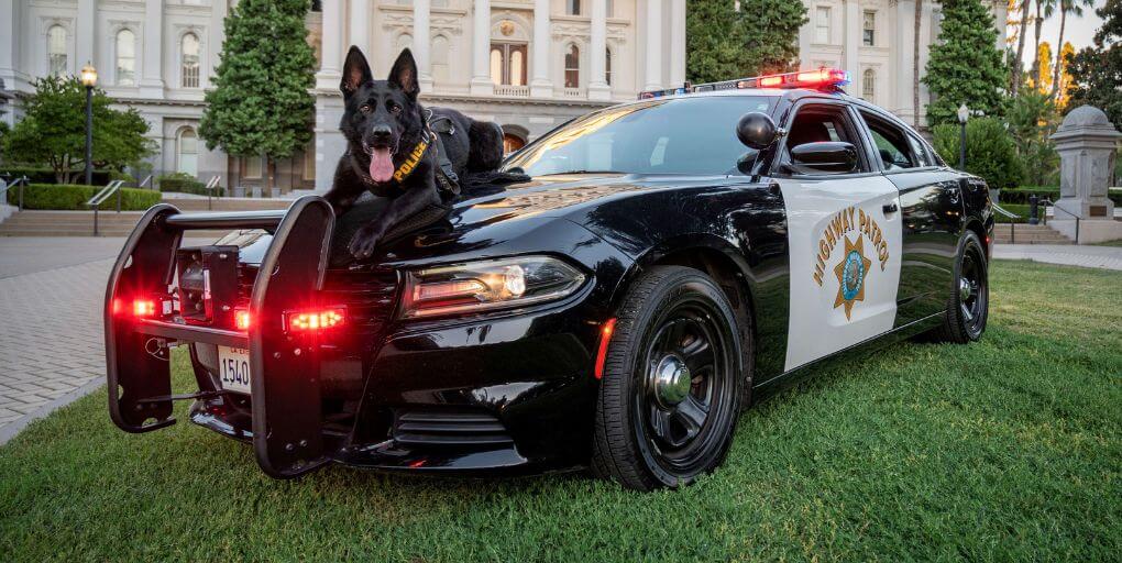 Which State Has The Coolest State Trooper Cruiser? Vote For Your Favorite Which State Has The Coolest State Trooper Cruiser? Vote For Your Favorite