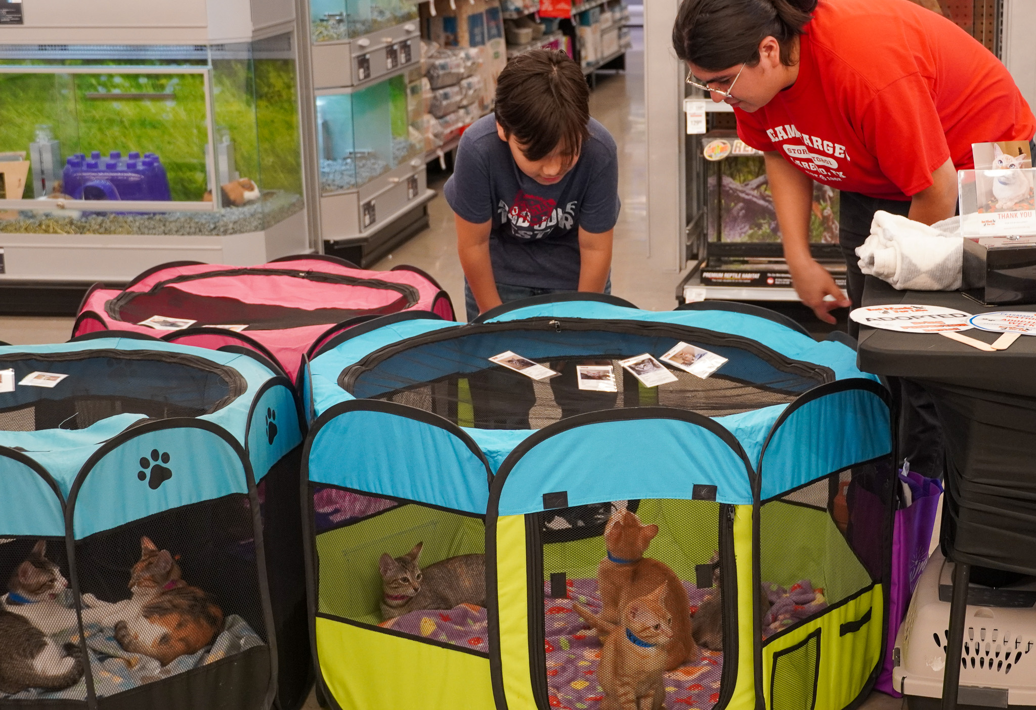 Adopt a pet in Laredo this weekend at two special events