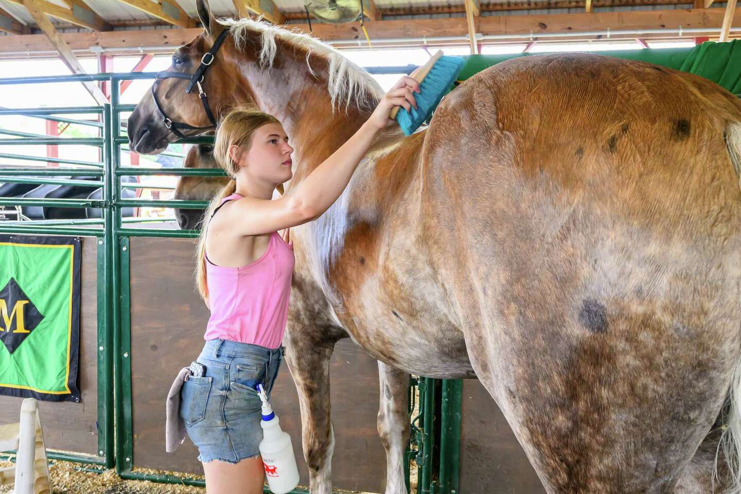 2025 Capital Region county fair guide, dates and deals