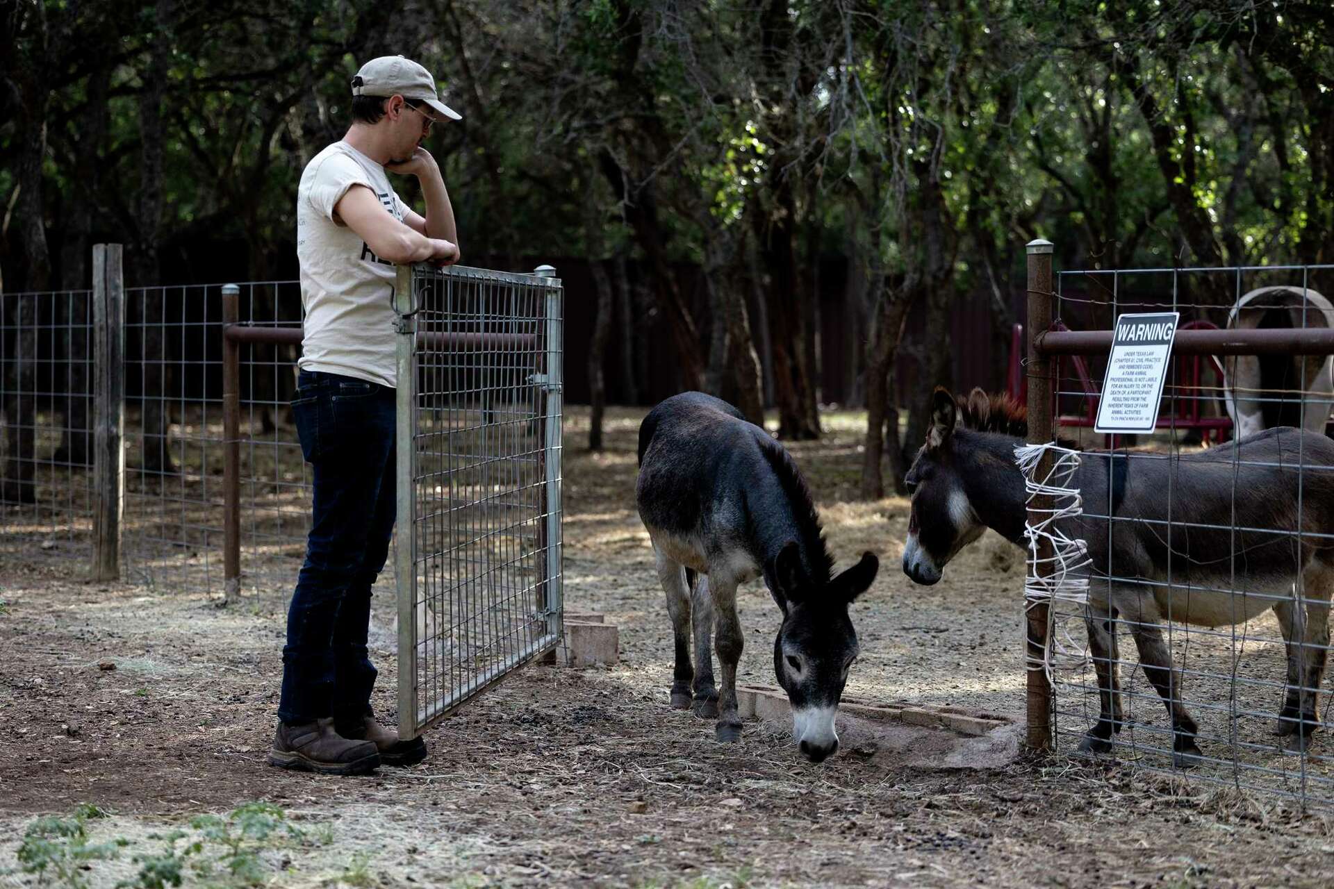 Winding Branch Ranch provides home for rescued farm animals