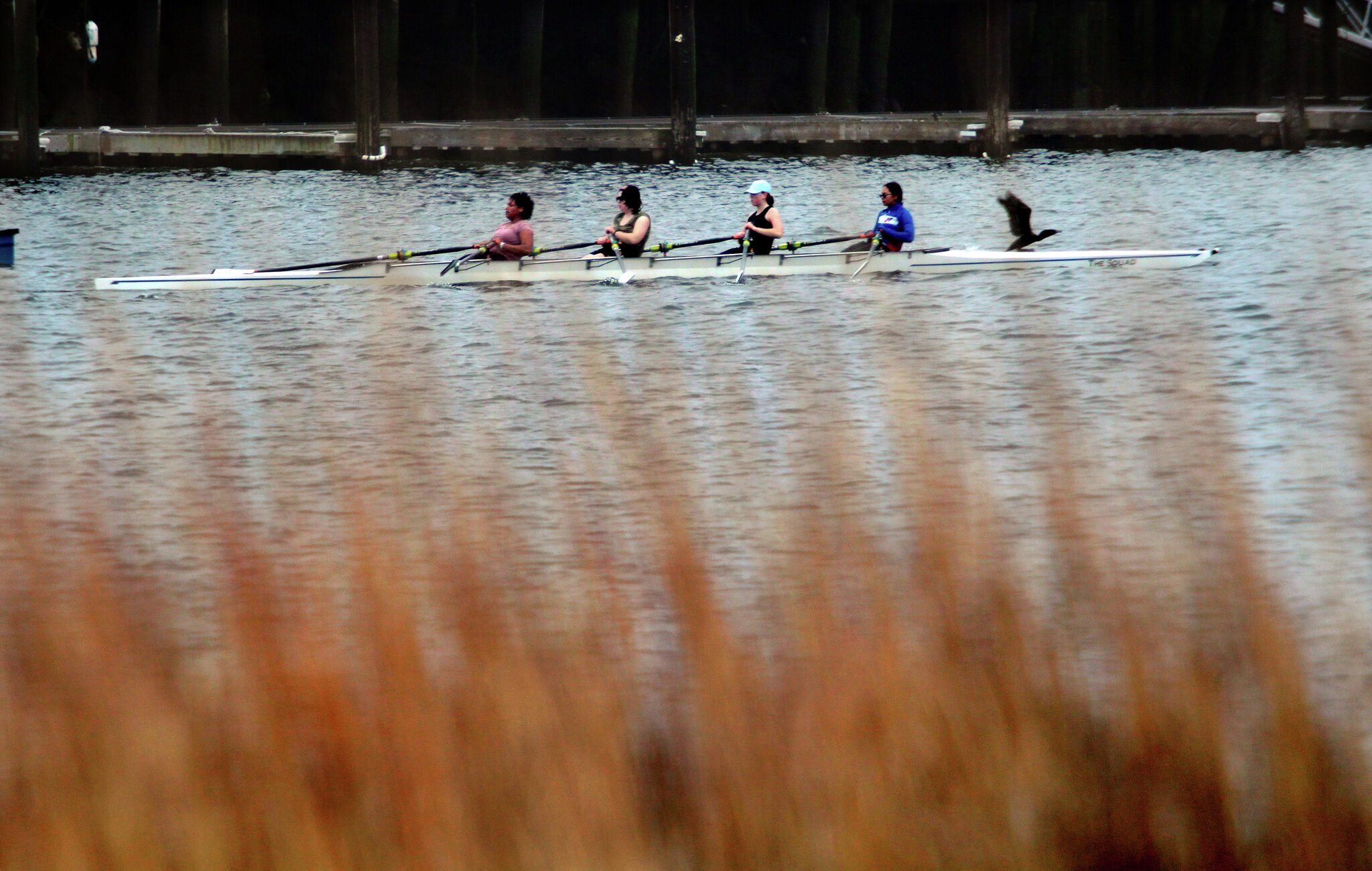 Connecticut’s rowing legacy on display at 2024 Paris Olympics