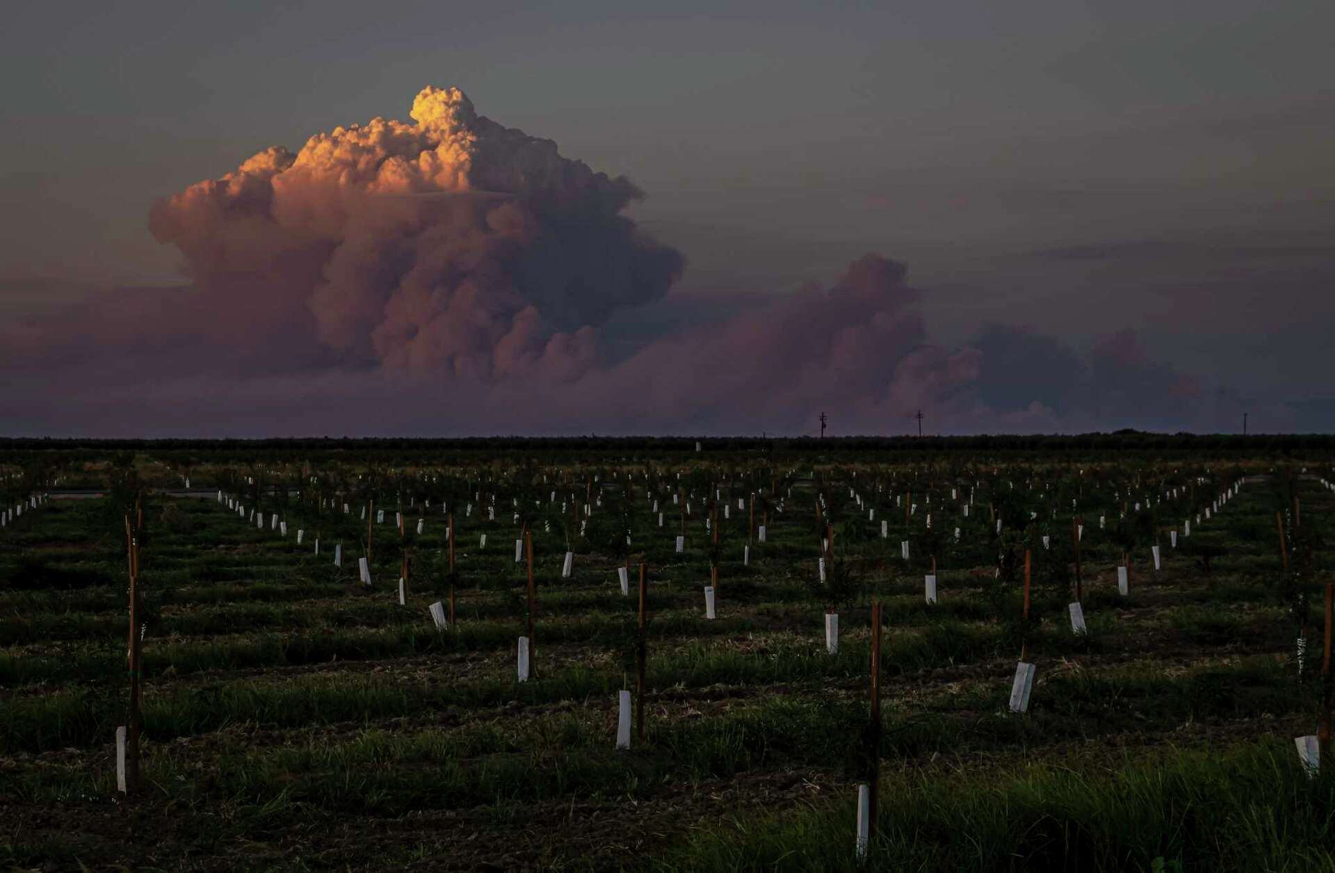 Park Fire near Chico explodes to 124K acres, arson suspect arrested