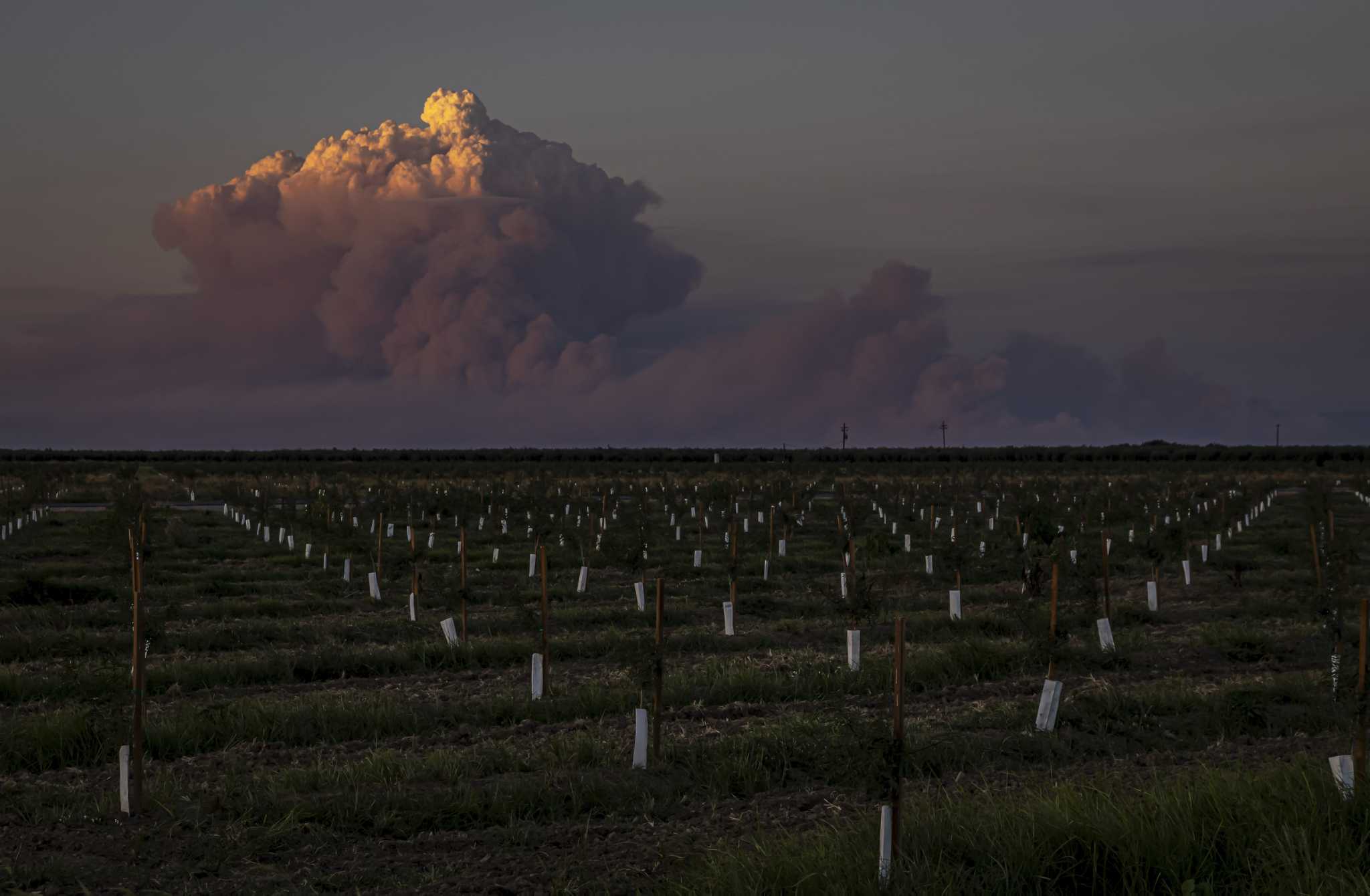 Park Fire rages near Chico, evacuations ordered