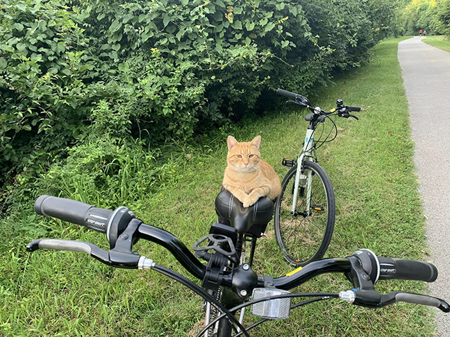 Newt Scoot bike ride in Edwardsville IL honors trail cat