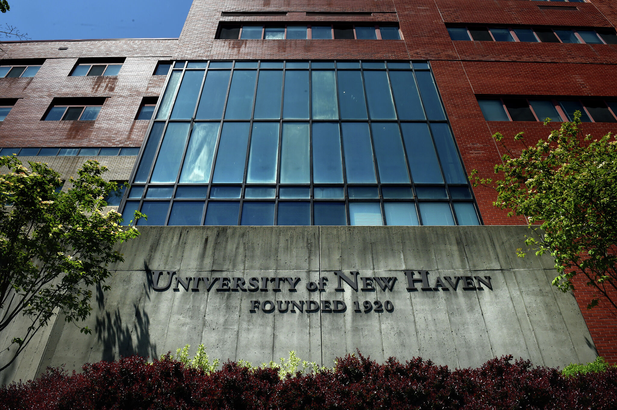 University of New Haven launches Afghan women scholars program