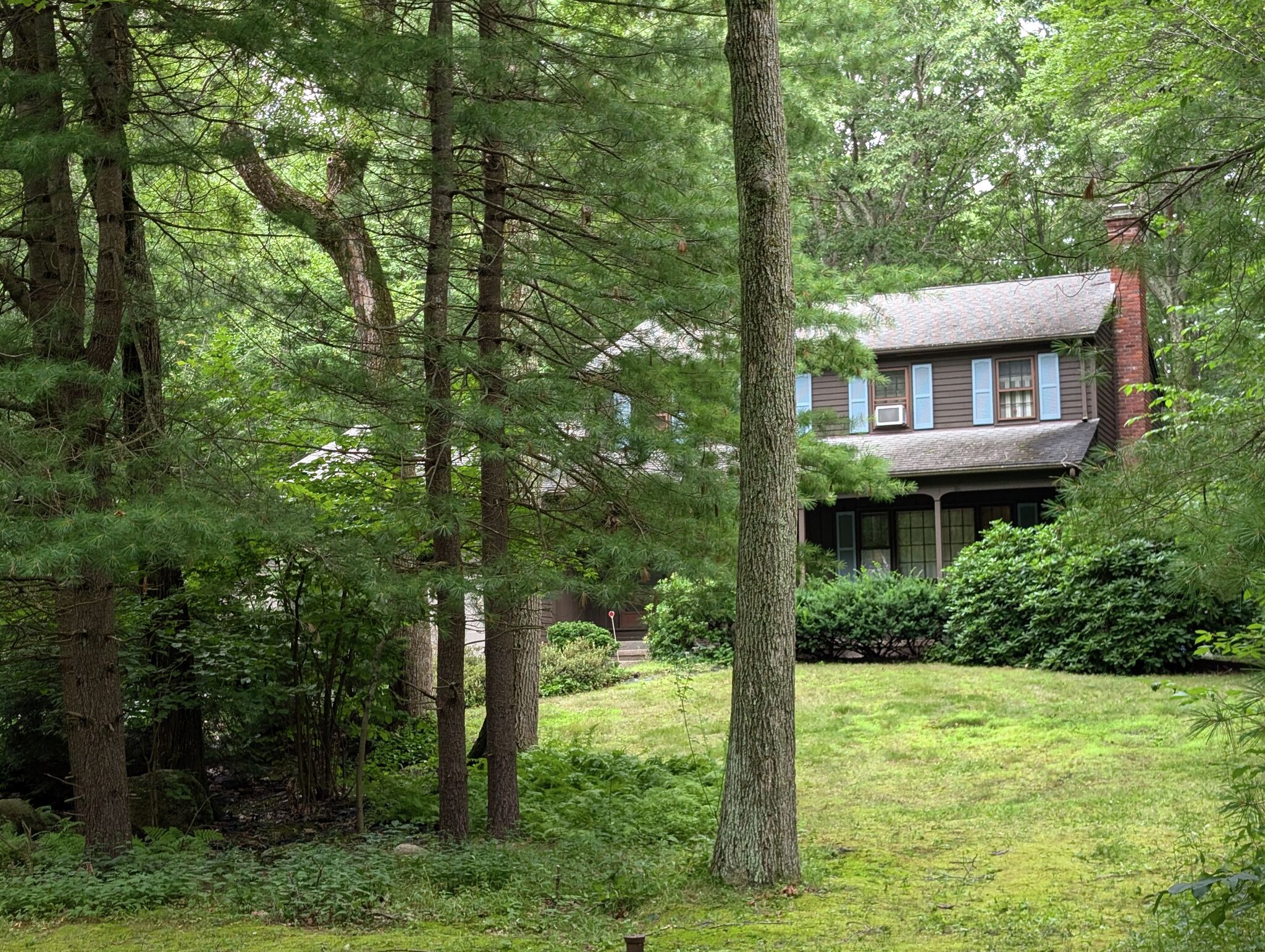 Linda Kosuda-Bigazzi’s CT neighbors say she ‘wanted to be left alone’