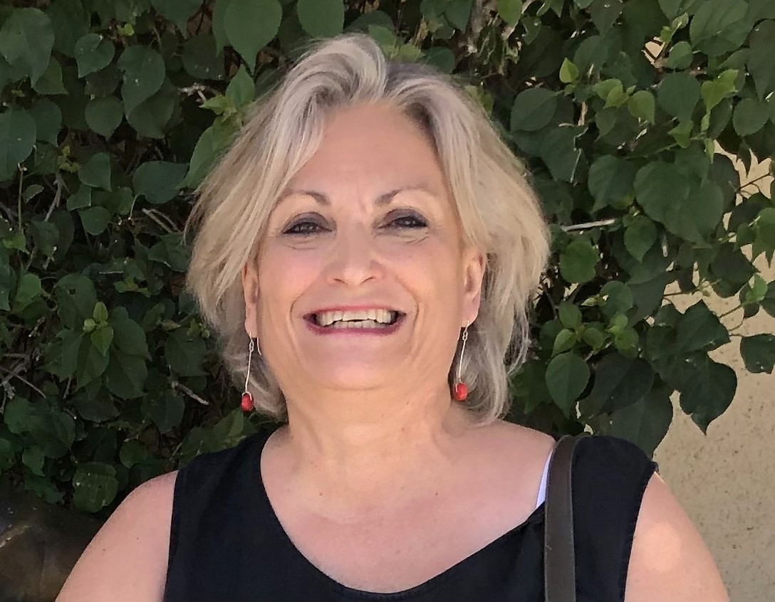 Ramsdell series continues with 'Democracy at Play' program