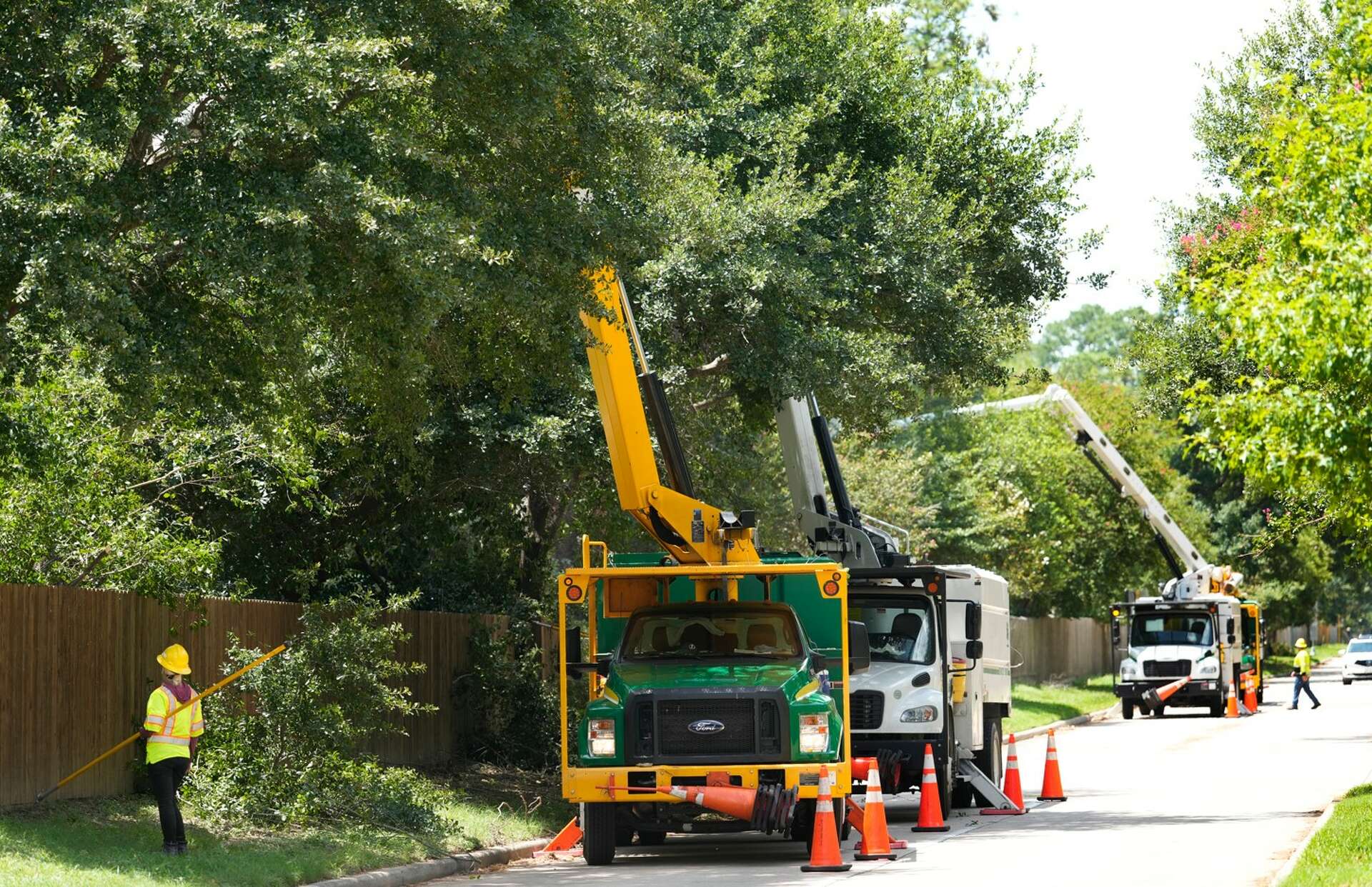 Is it CenterPoint's fault that tree limbs caused Beryl power outages?