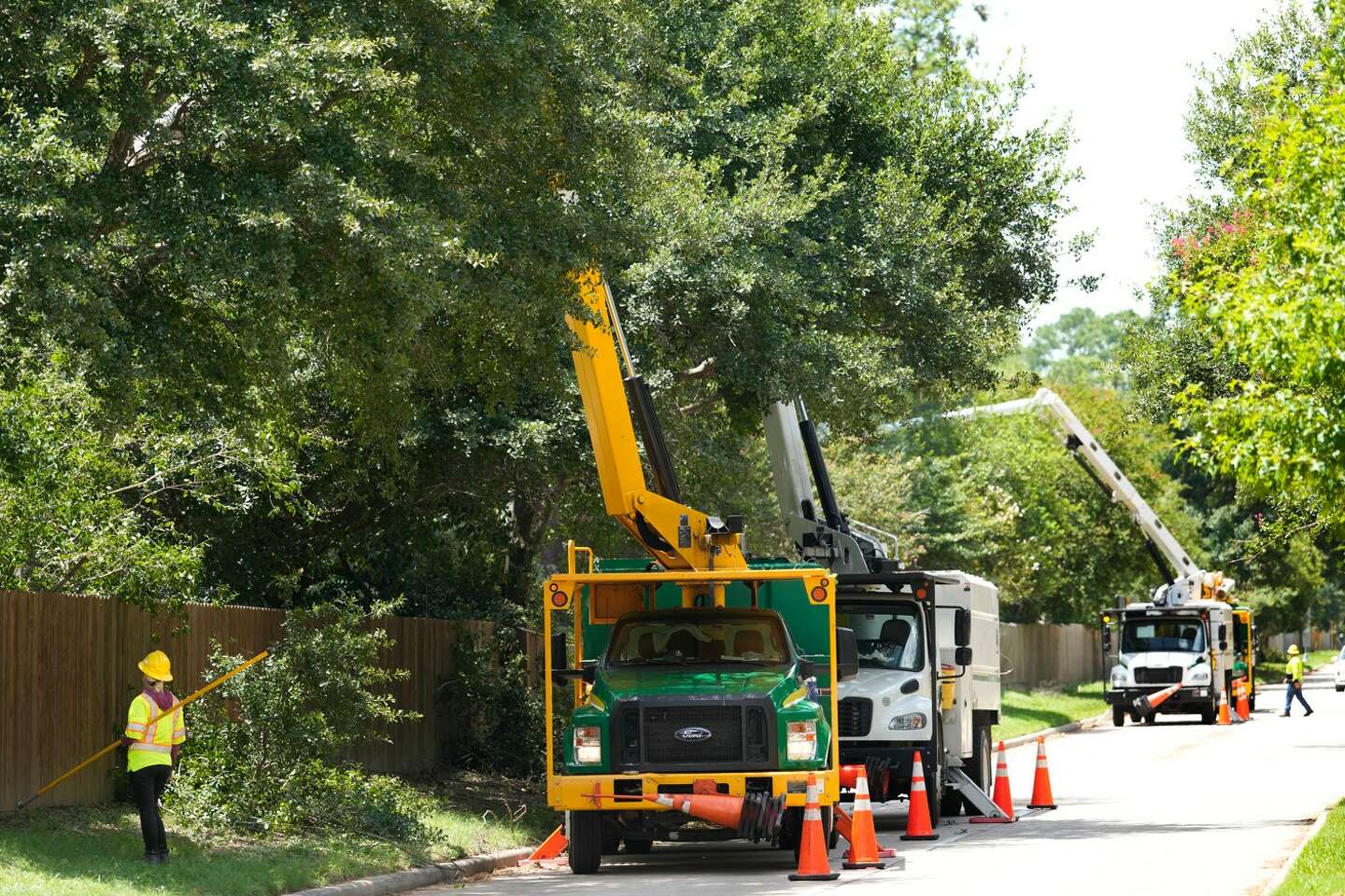 After Beryl and derecho damage, Houstonians wary about trees