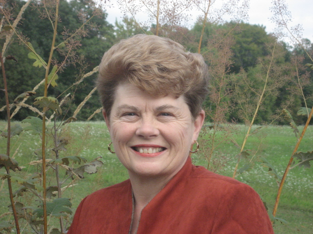 Mecosta County Michigan commissioner Q&A