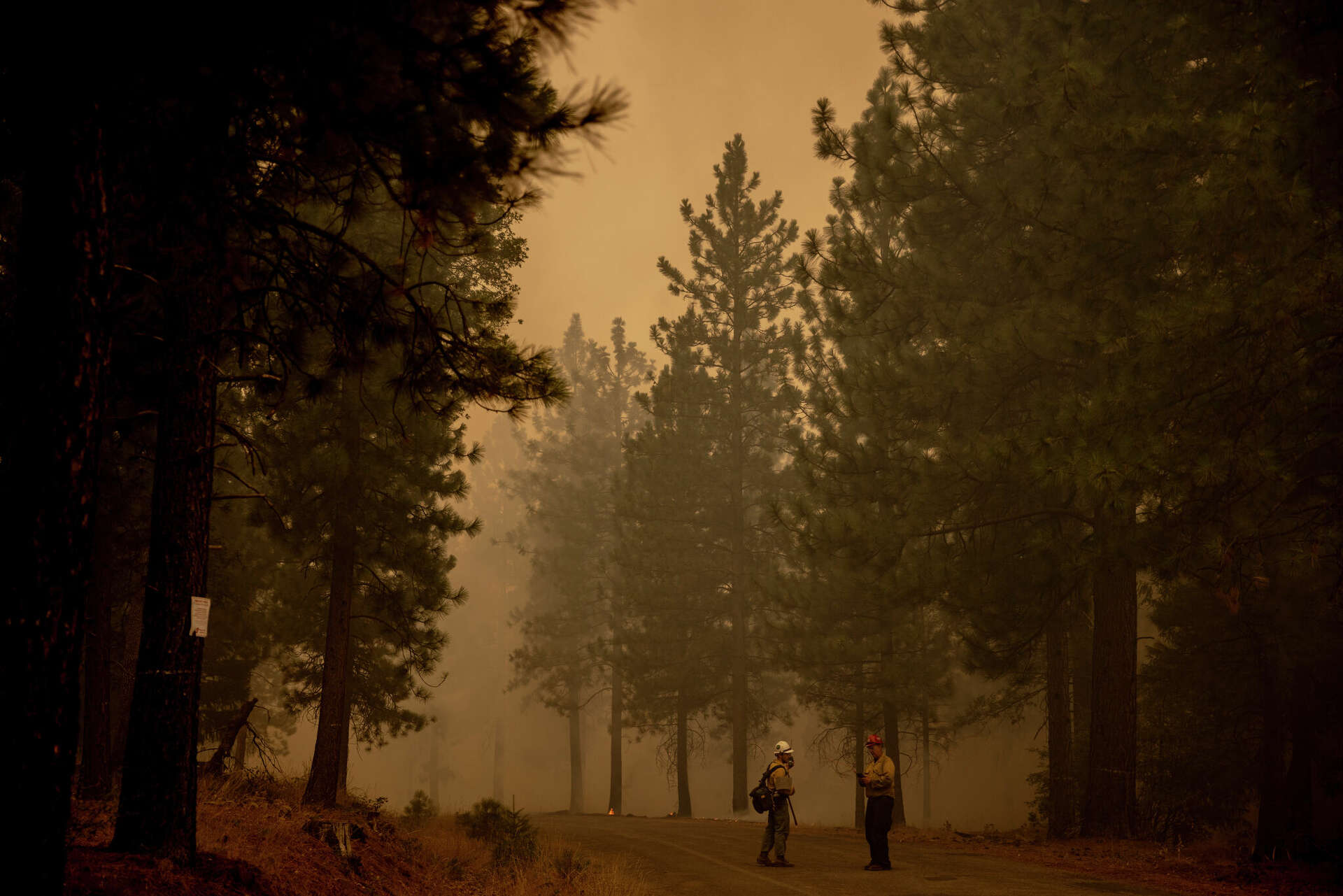 Park Fire near Chico crosses highway, surpasses 350,000 acres