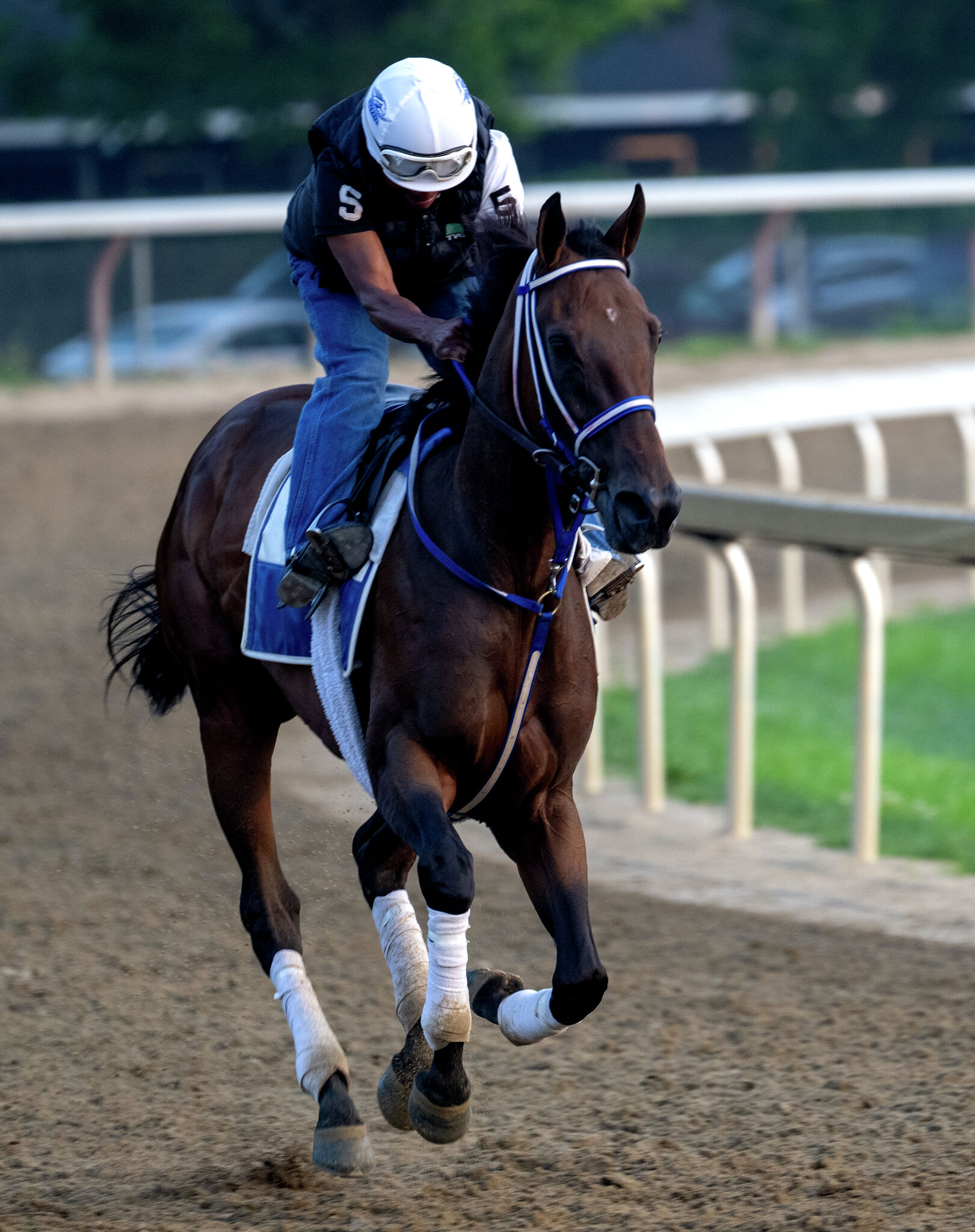 Sierra Leone, Batten Down, Dornoch confirmed for Travers