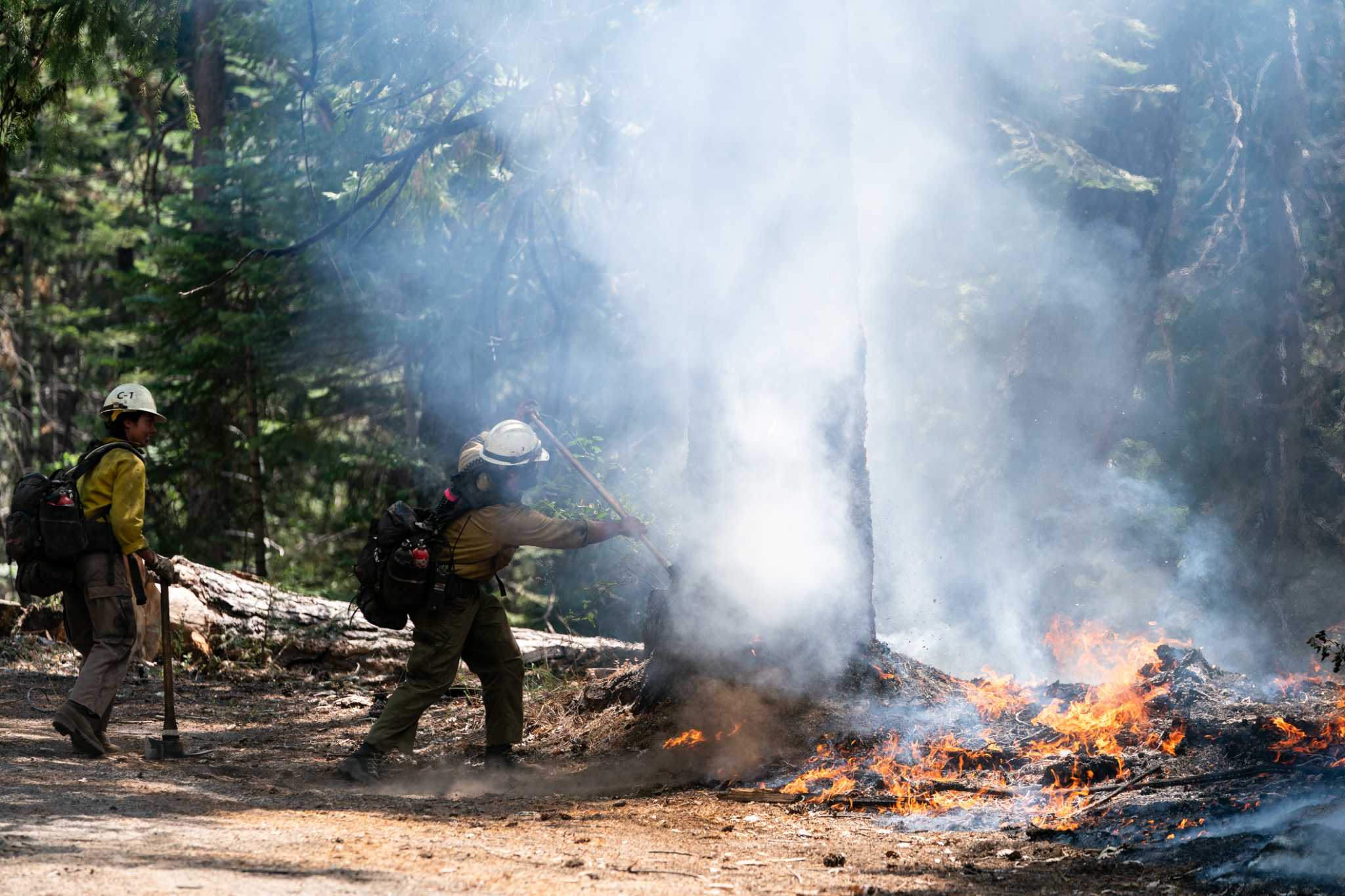 Park Fire near Chico jumps highway as crews increase containment