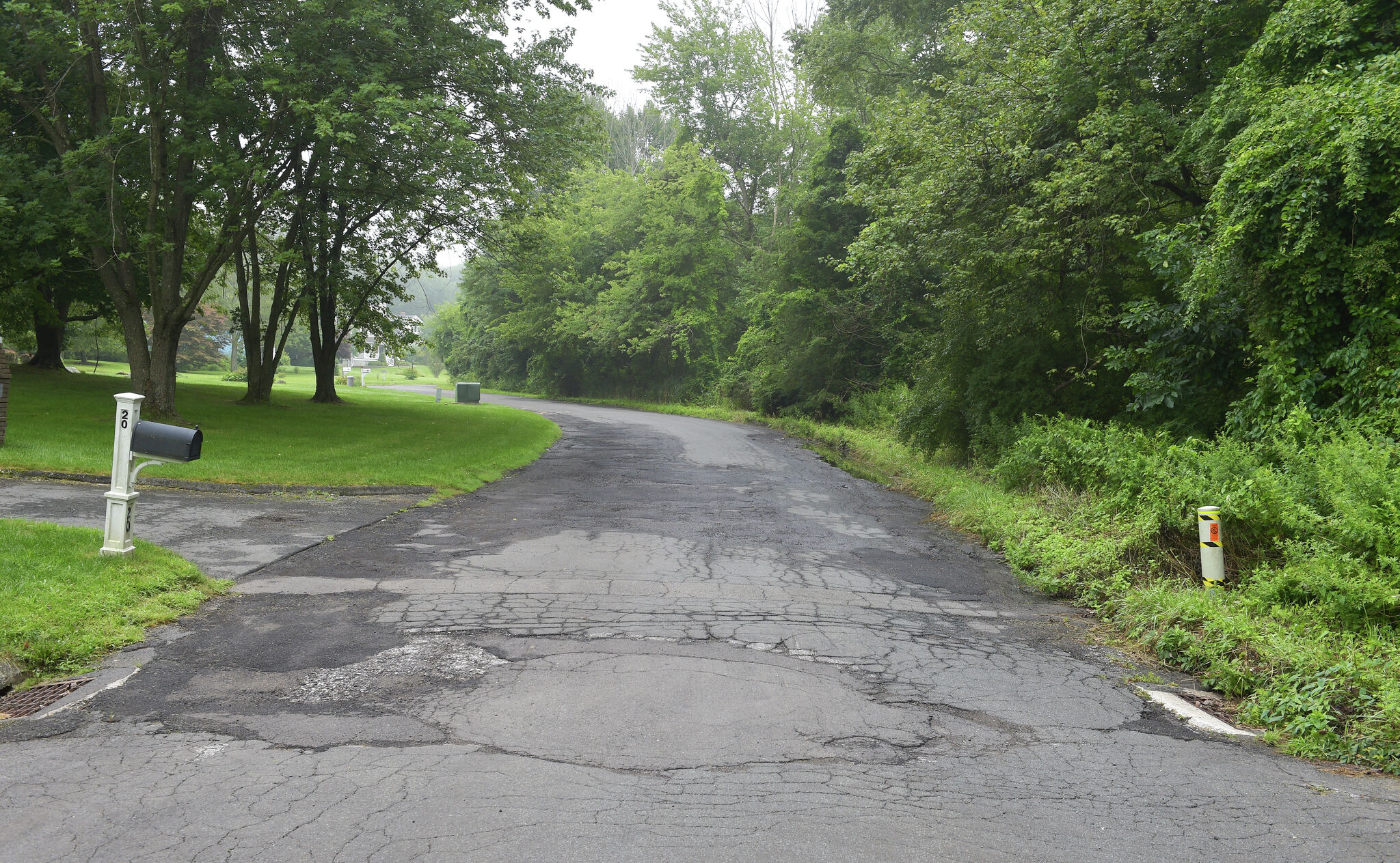 Residents of private road in Danbury face a crossroads over its future
