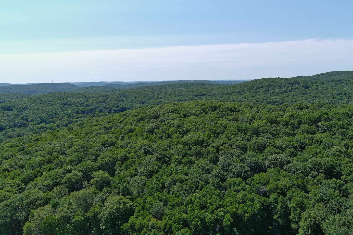 Grape Hollow State Forest to be protected on Appalachian Trail
