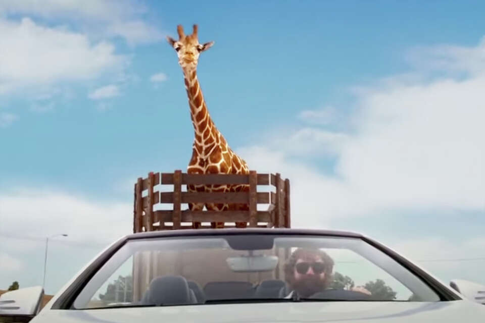 Giraffe seized as evidence in Calif. trial found 3 years later