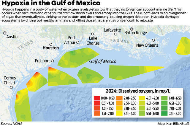 Gulf of Mexico 'dead zone': how it's threatening humans, fish