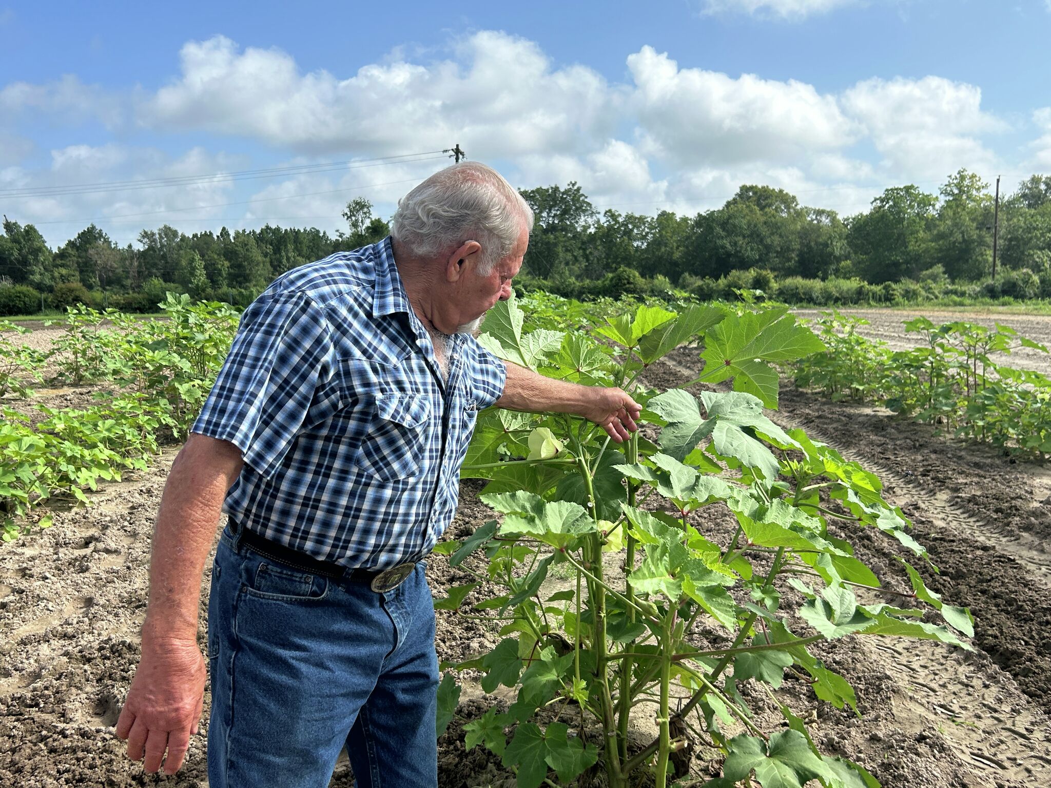 CJ Romano Bunker Hill Farm owner talks about farming