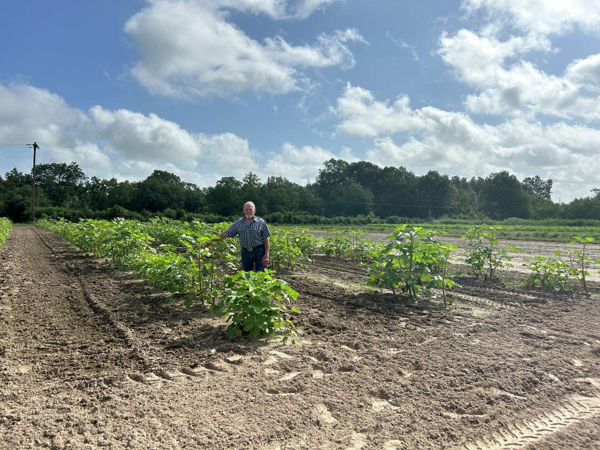 CJ Romano Bunker Hill Farm owner talks about farming