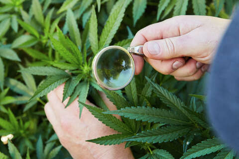 Surprising California hotel named one of world's 100 places to visit