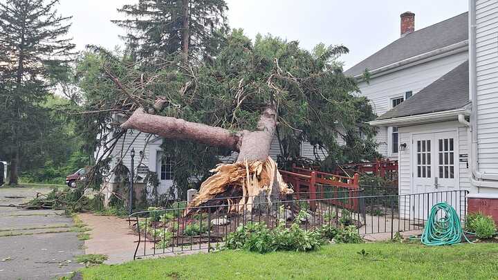 Microburst downs trees in East Windsor, damages planes in Simsbury