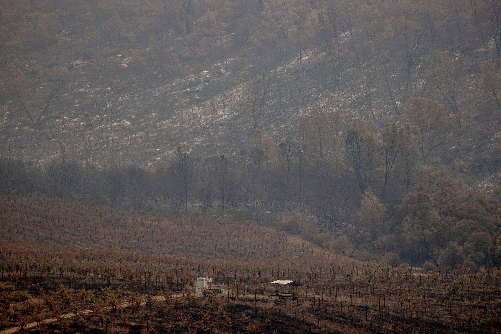 Park Fire now 4th-largest in California history at 400,000 acres