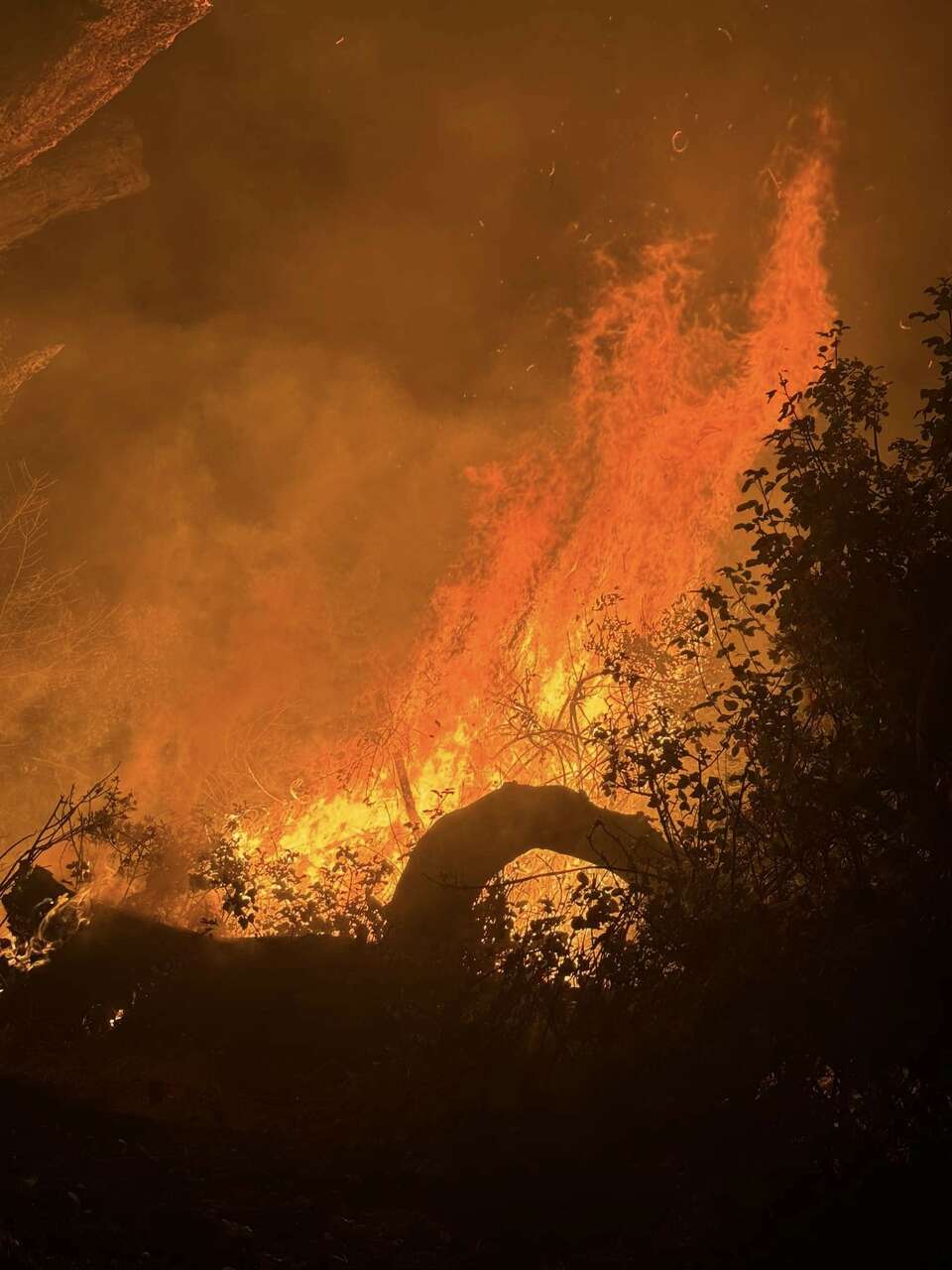 Creek Fire in Sunol fully contained after weeklong effort