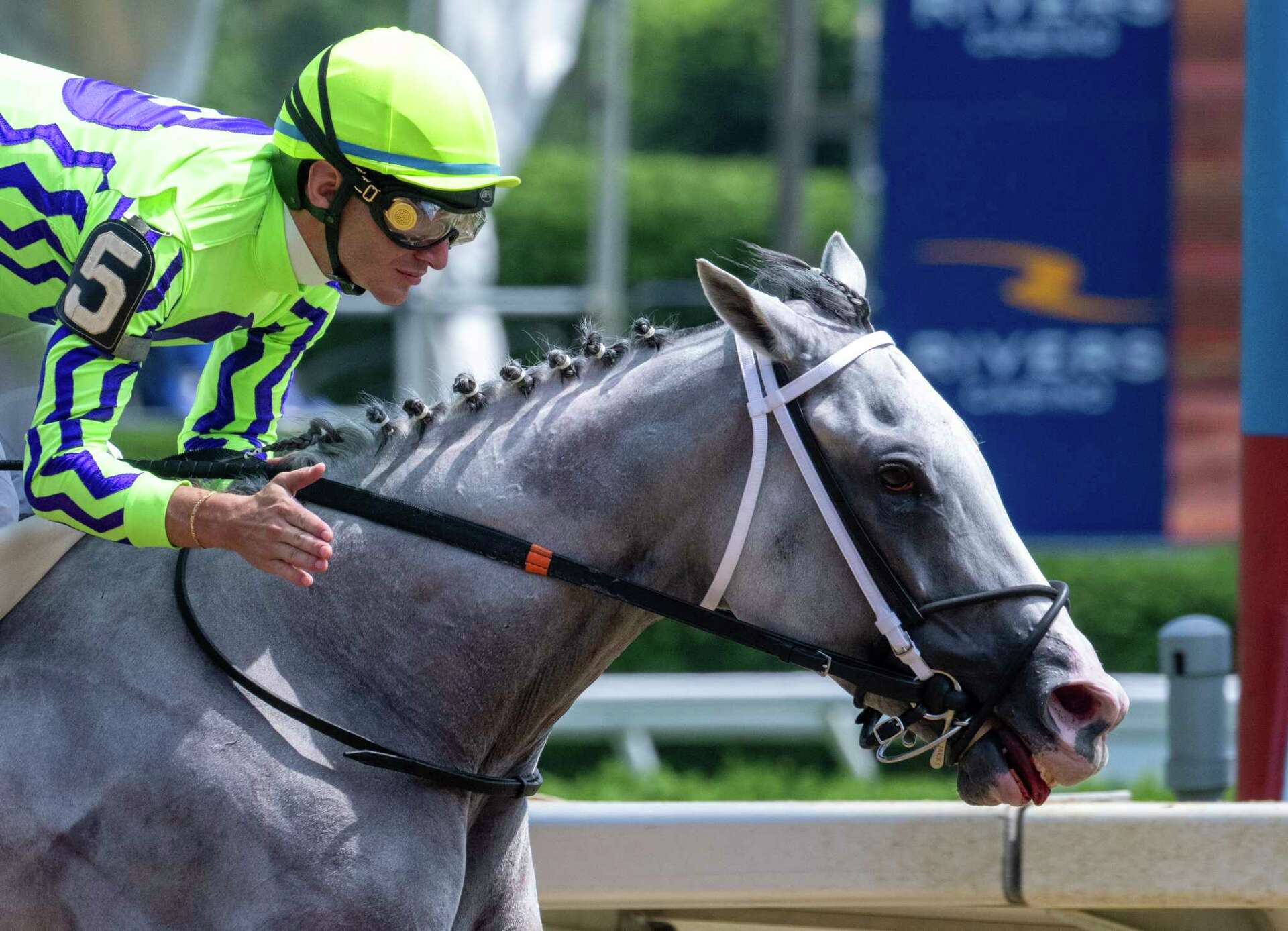Next repeats in Birdstone for sixth straight dominant victory