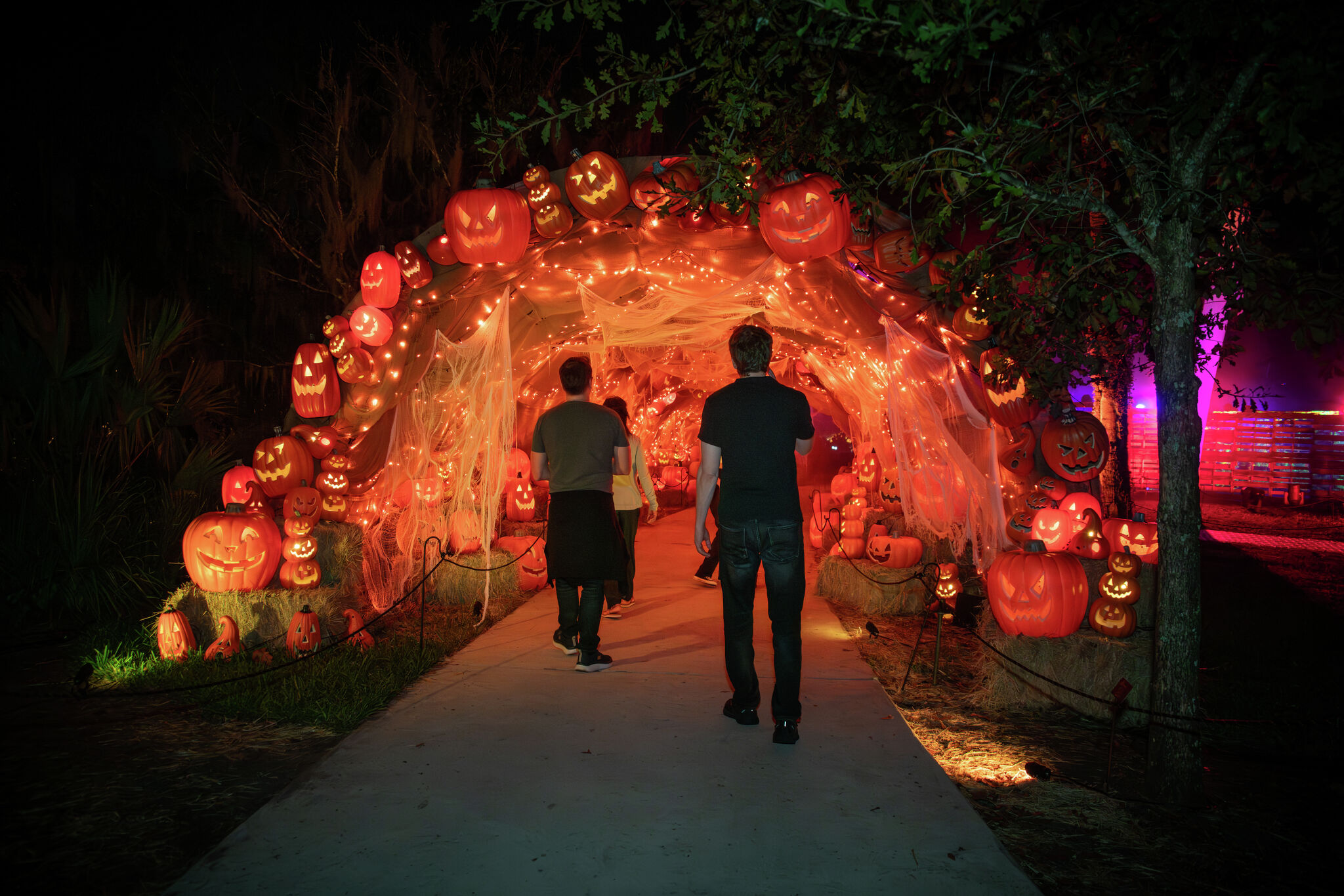 Saddle for fall festivals outside of Texas' Halloween Capital