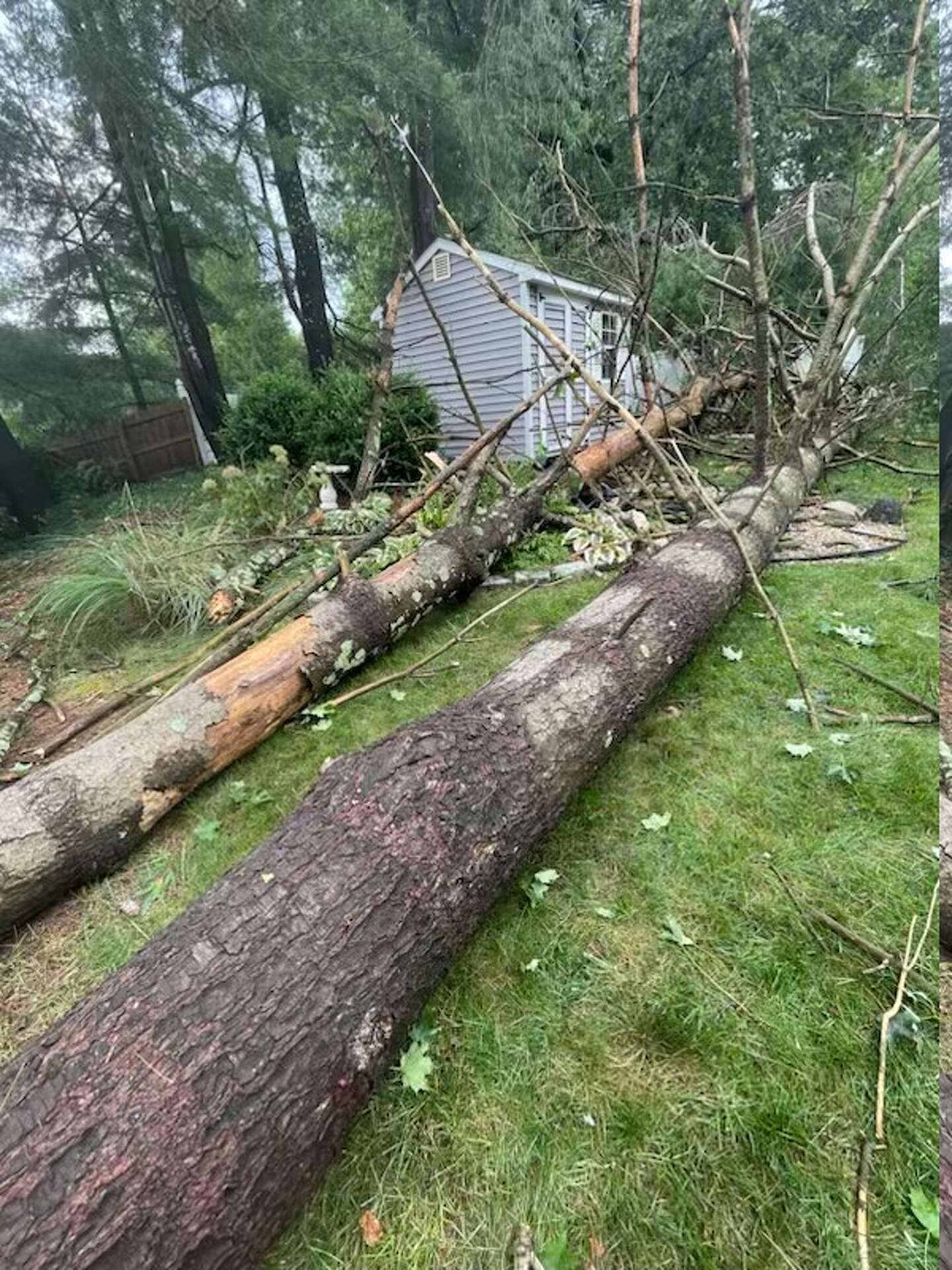 Microburst storm in Simsbury leaves severe damage in town