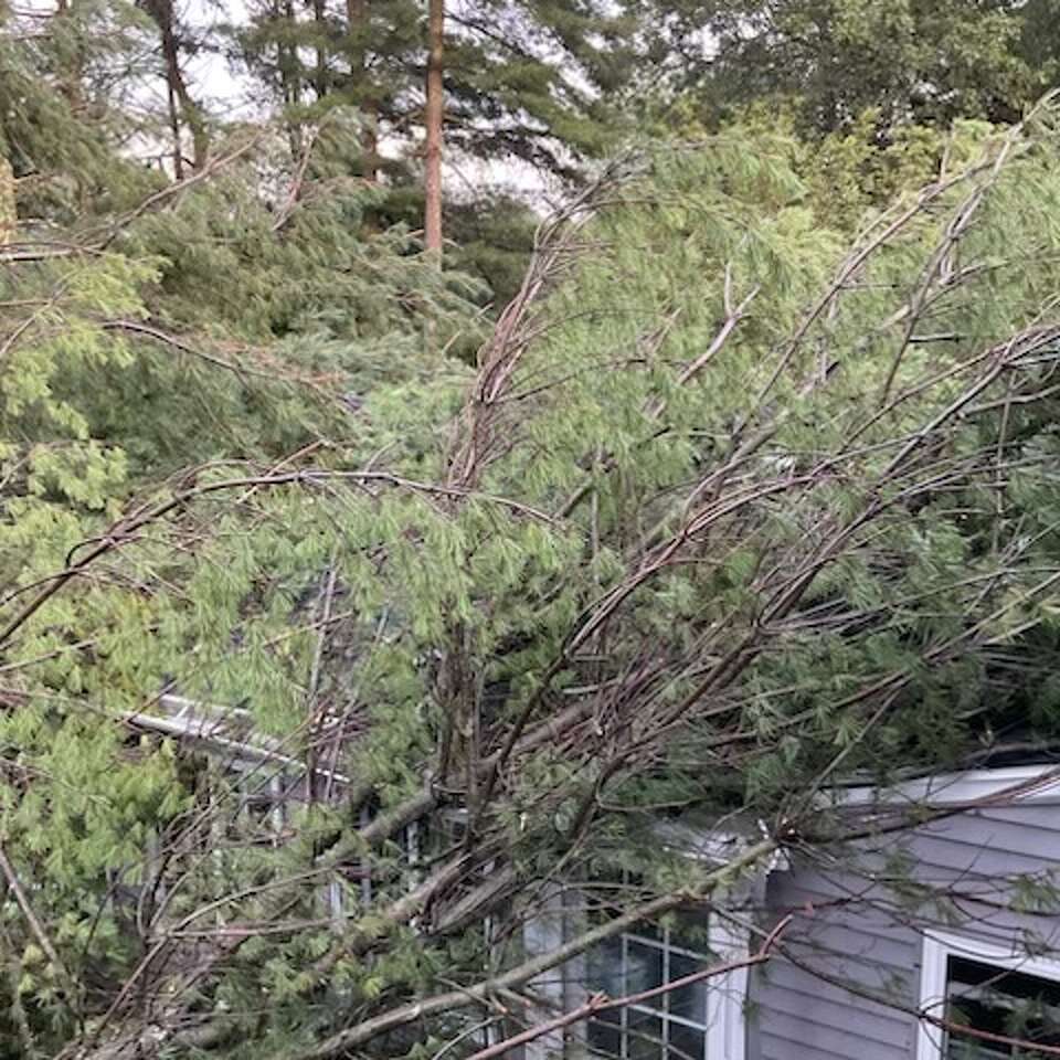 Microburst storm in Simsbury leaves severe damage in town