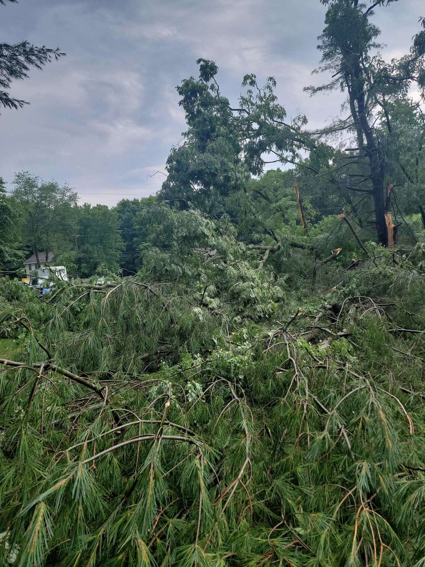 Microburst storm in Simsbury leaves severe damage in town