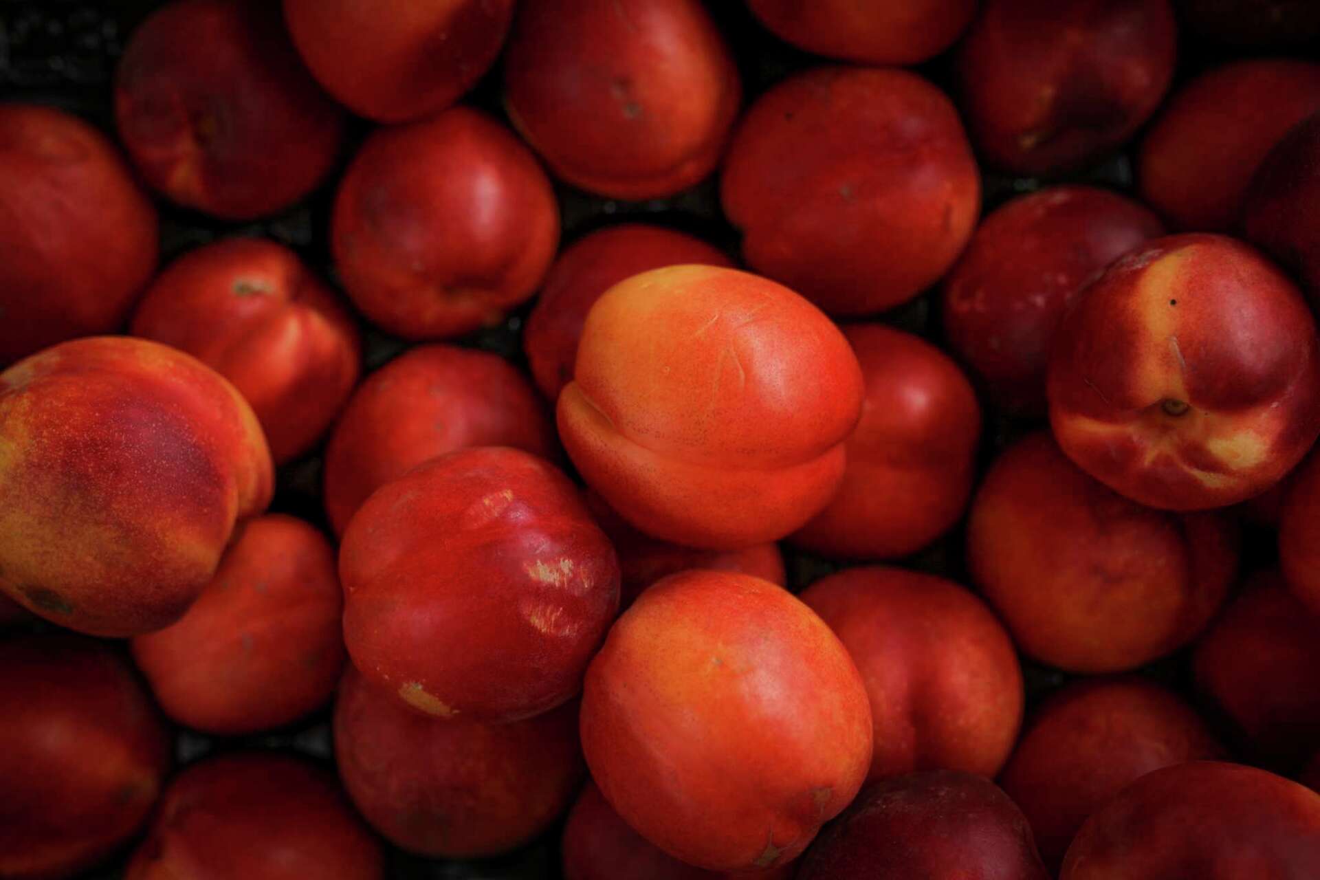 Stone fruit is particularly flavorful this year in the Bay Area.