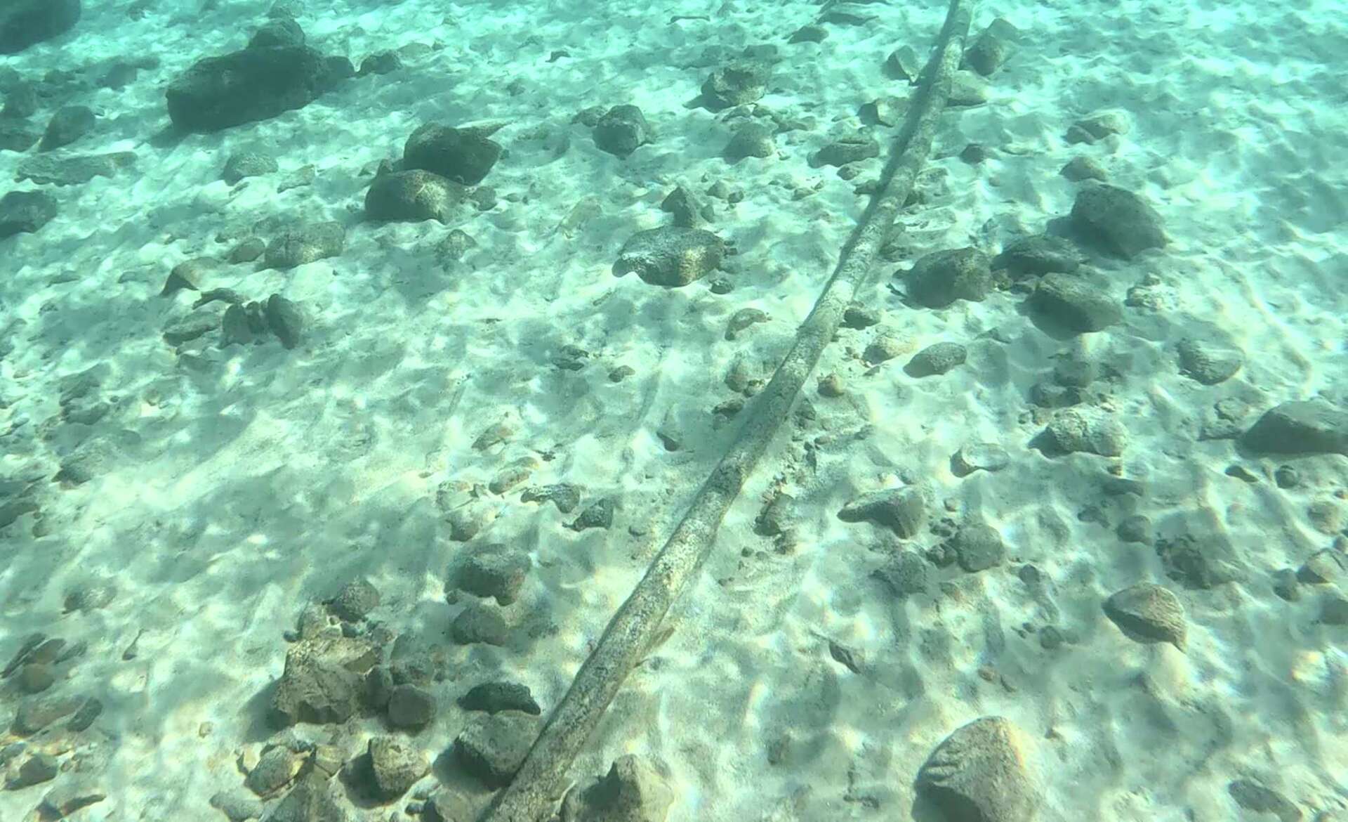 Tahoe locals rally to remove hazardous lead cables from the lake