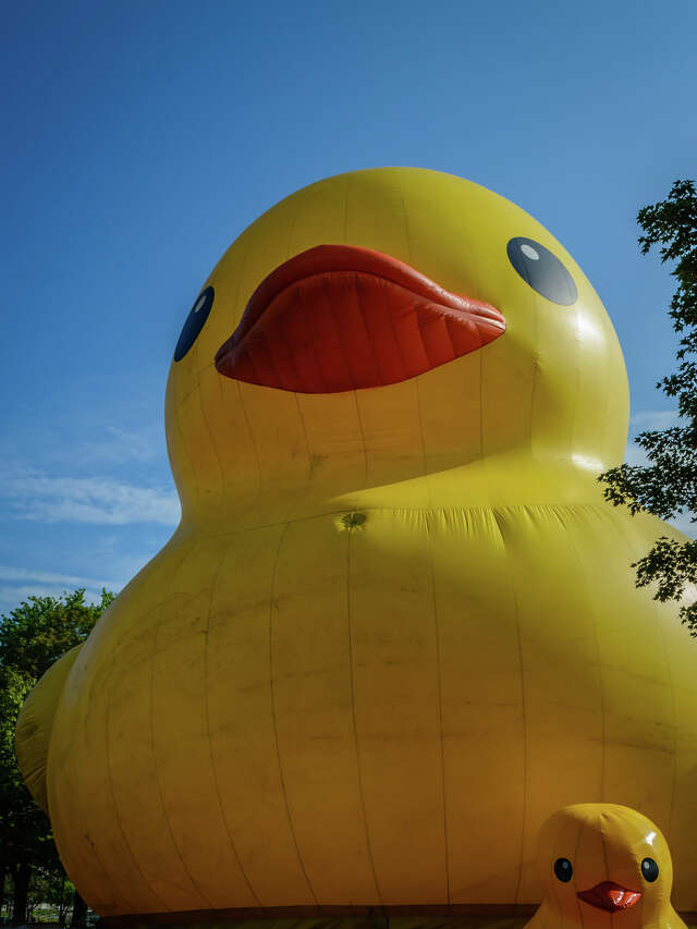 'World's largest rubber duck' to come to beach near CT border