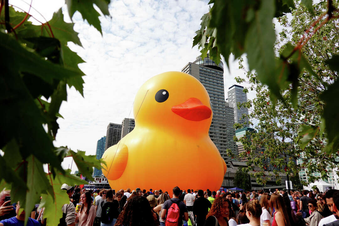 'World's largest rubber duck' to come to beach near CT border