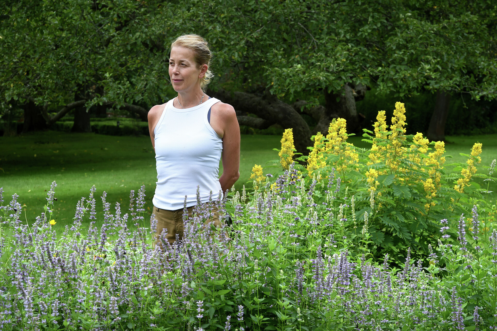 See owls, turtles, racoons at Guilford's Whitfield House Aug. 18