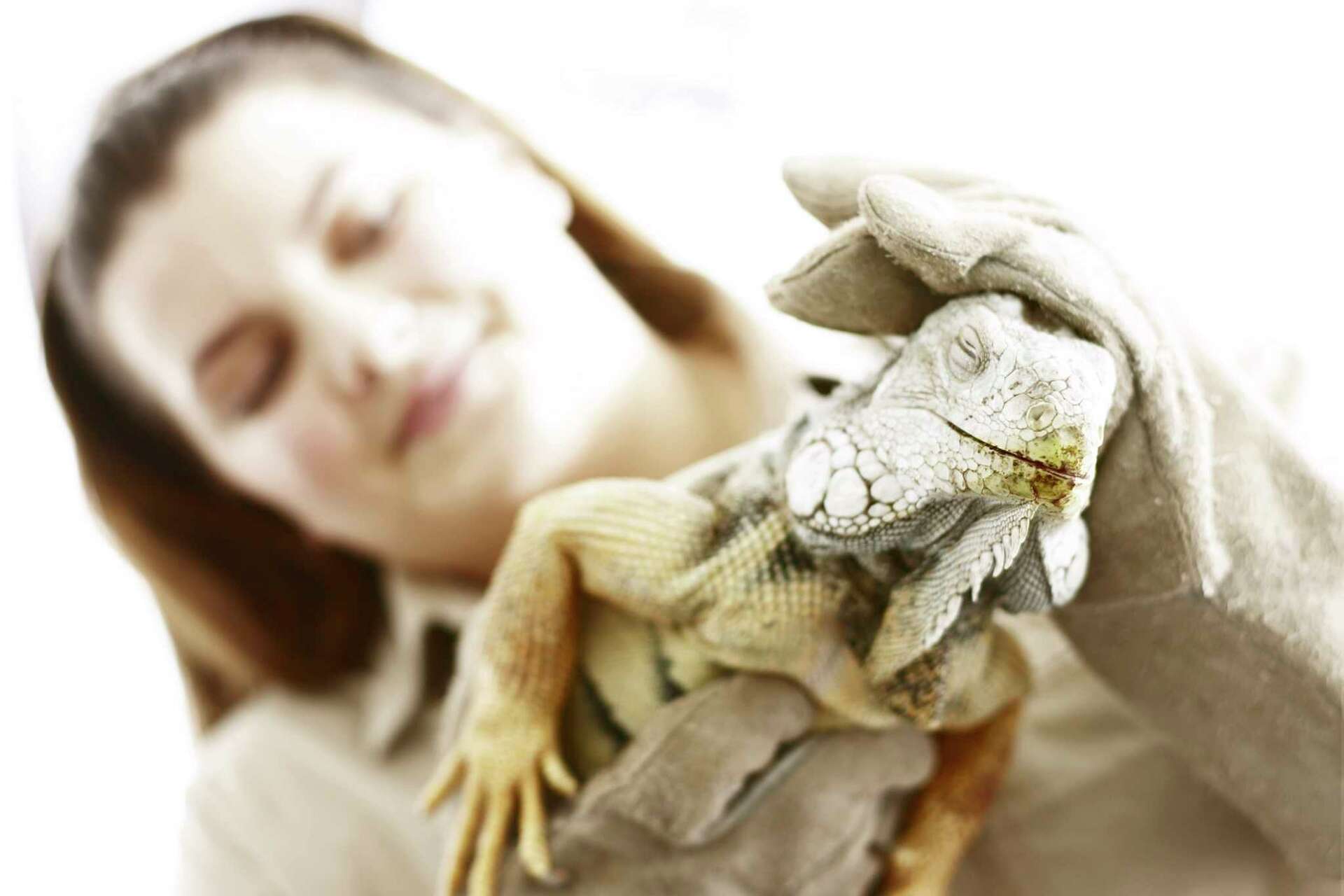 The Advantages of Being an Animal Caretaker